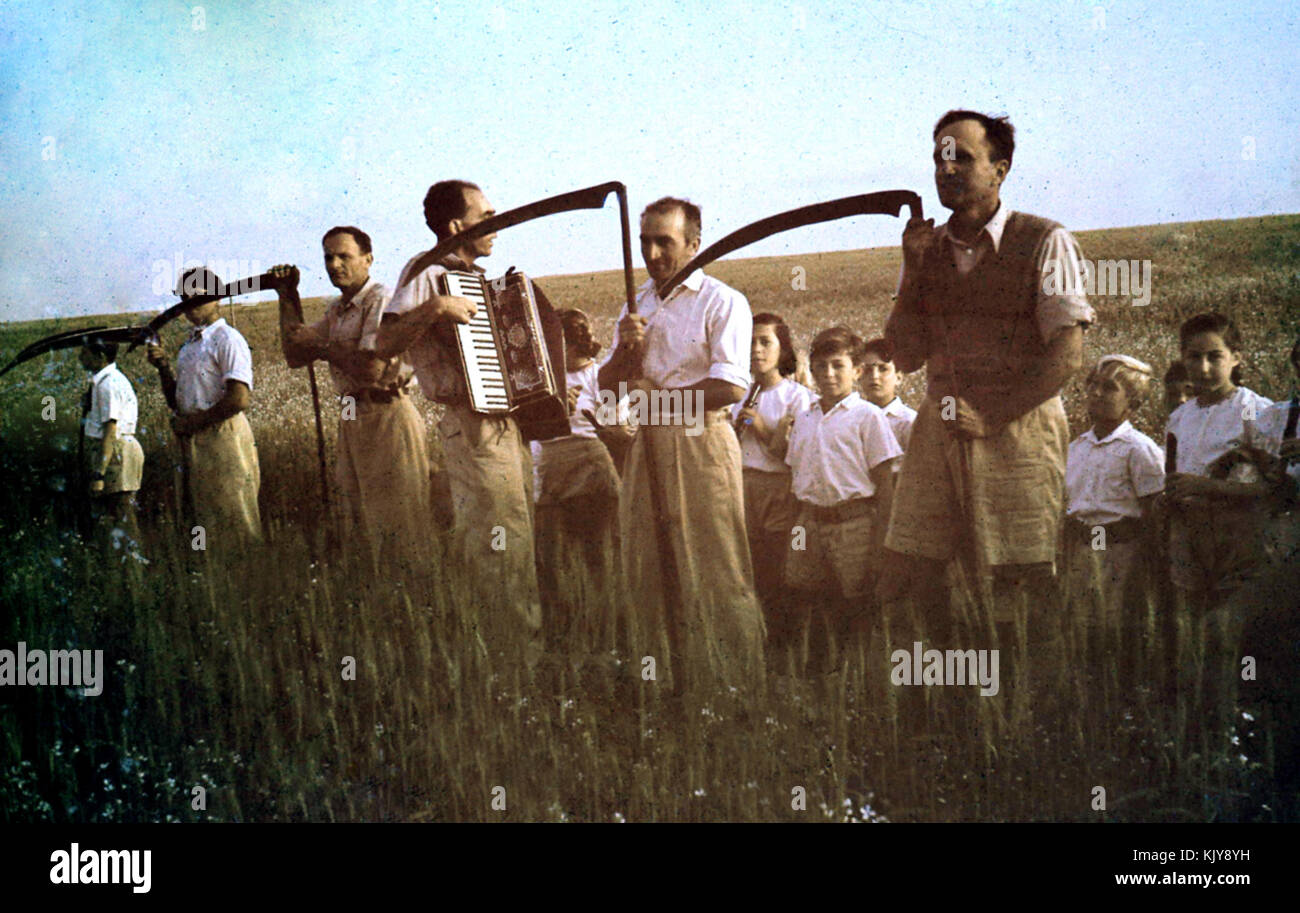 Israel 6074 At grain harvest of the Omer Stock Photo - Alamy