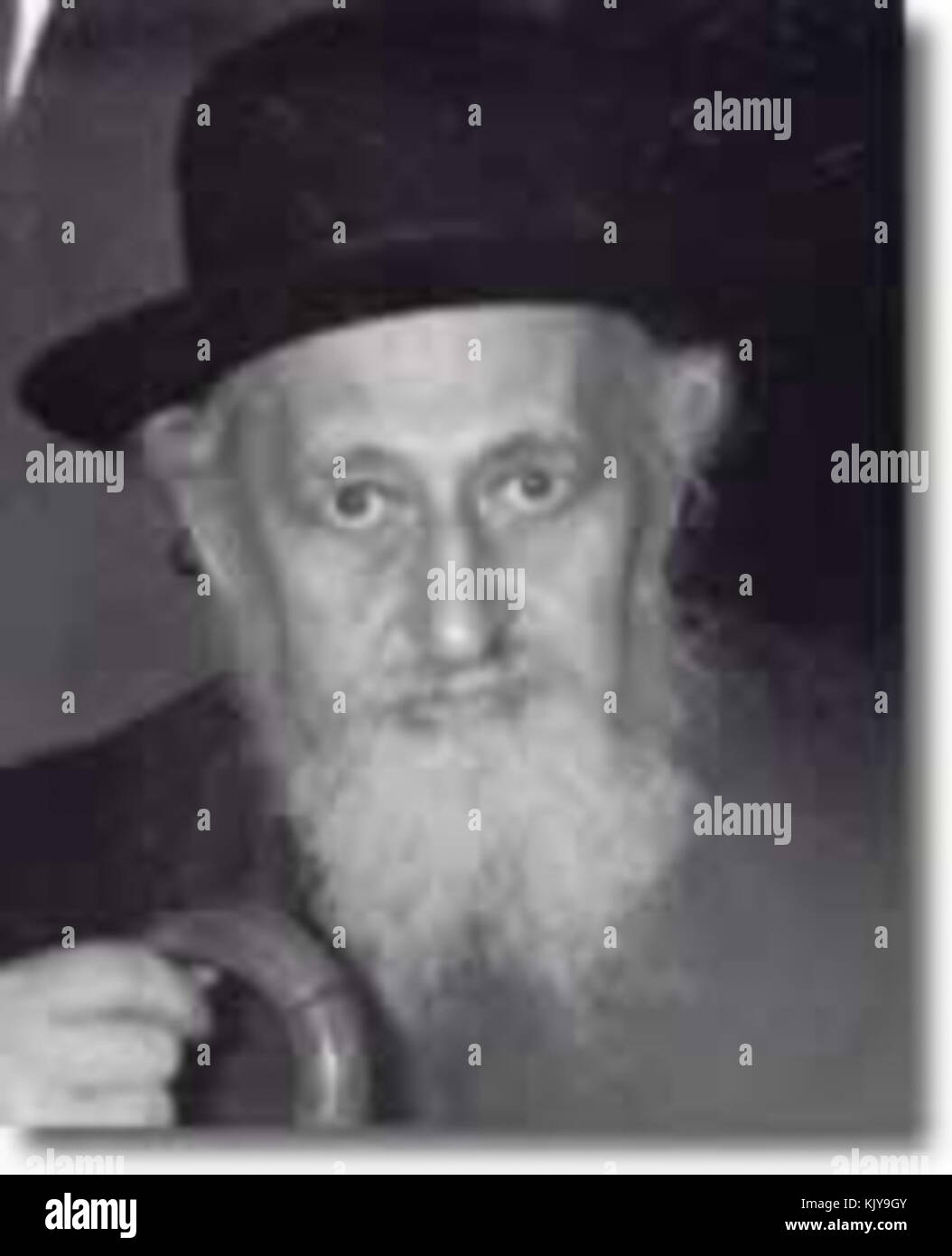 Yitzchak Zev Soloveitchik Stock Photo - Alamy