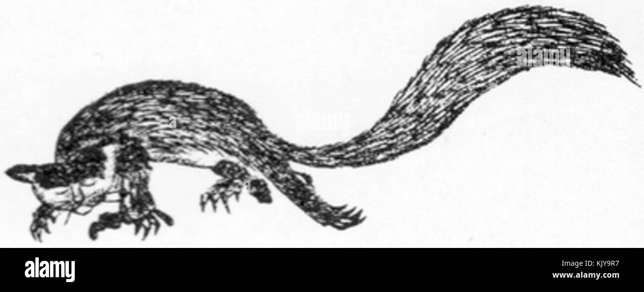 Sozan hi-res stock photography and images - Alamy