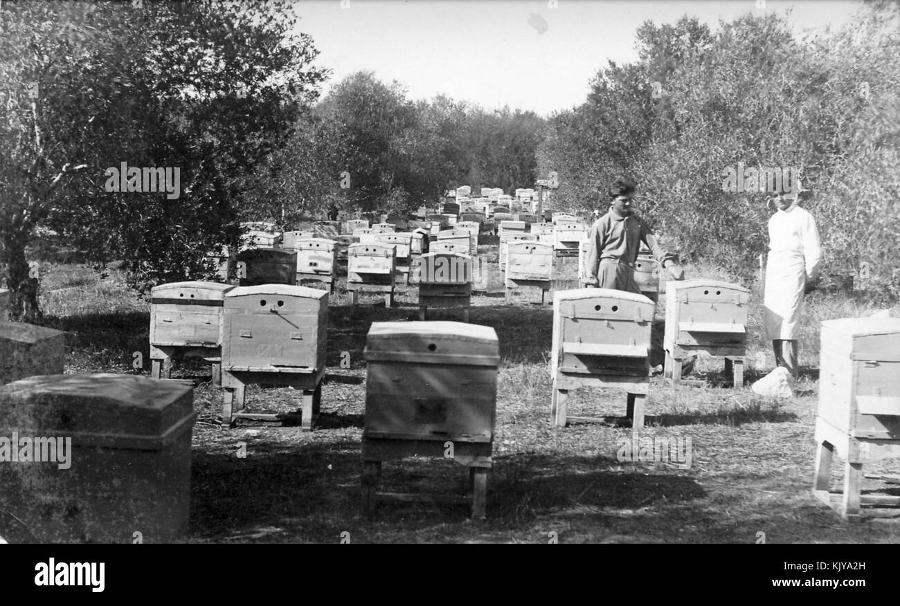 Israel 7491 Gan Samuel The beehive 1941 Stock Photo - Alamy
