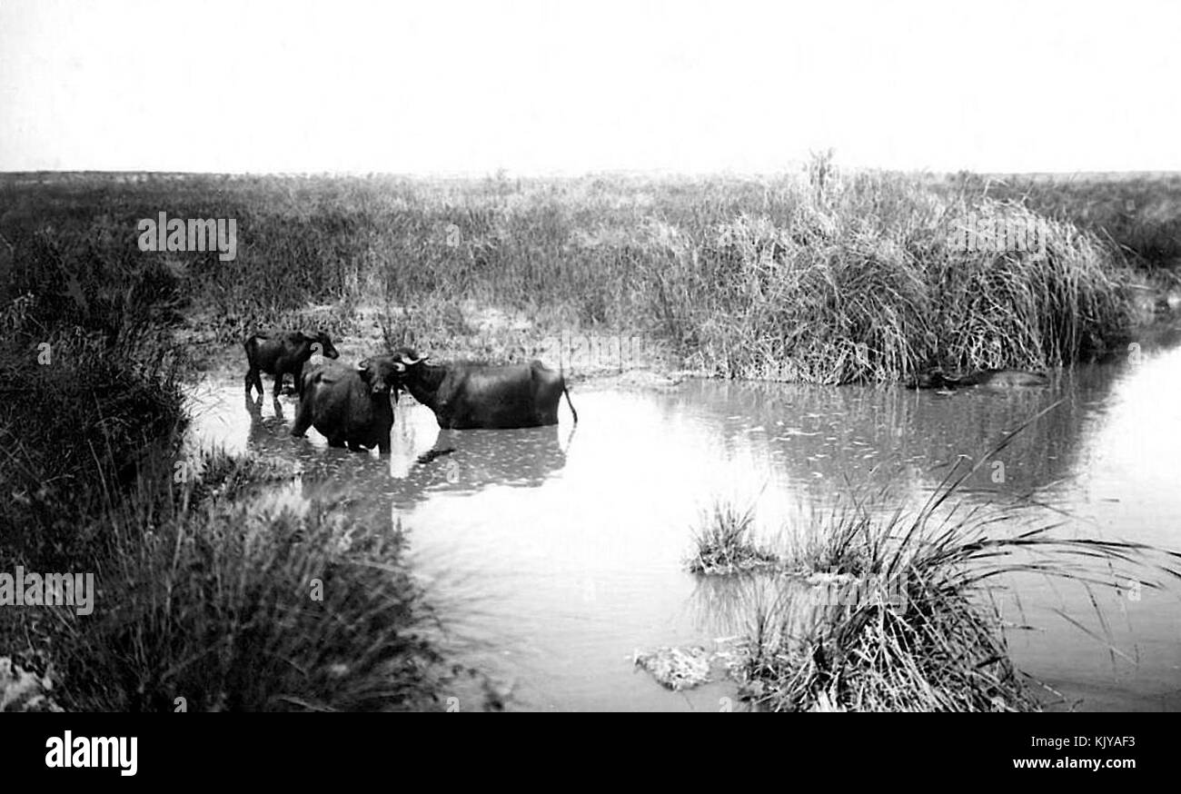 Kabara island hi-res stock photography and images - Alamy