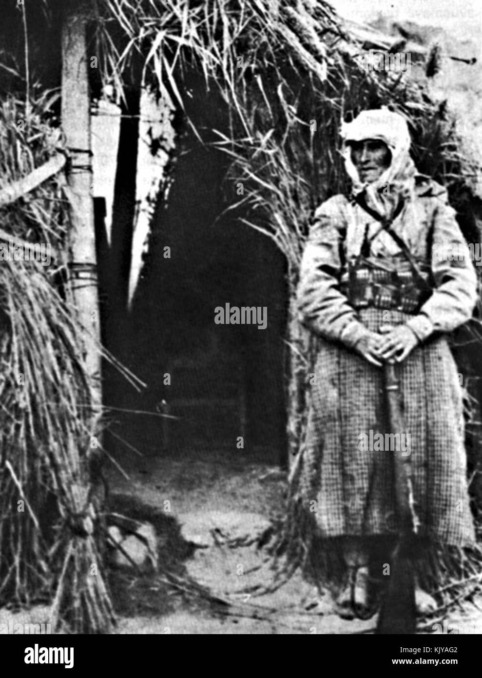 Tayyar hi-res stock photography and images - Alamy