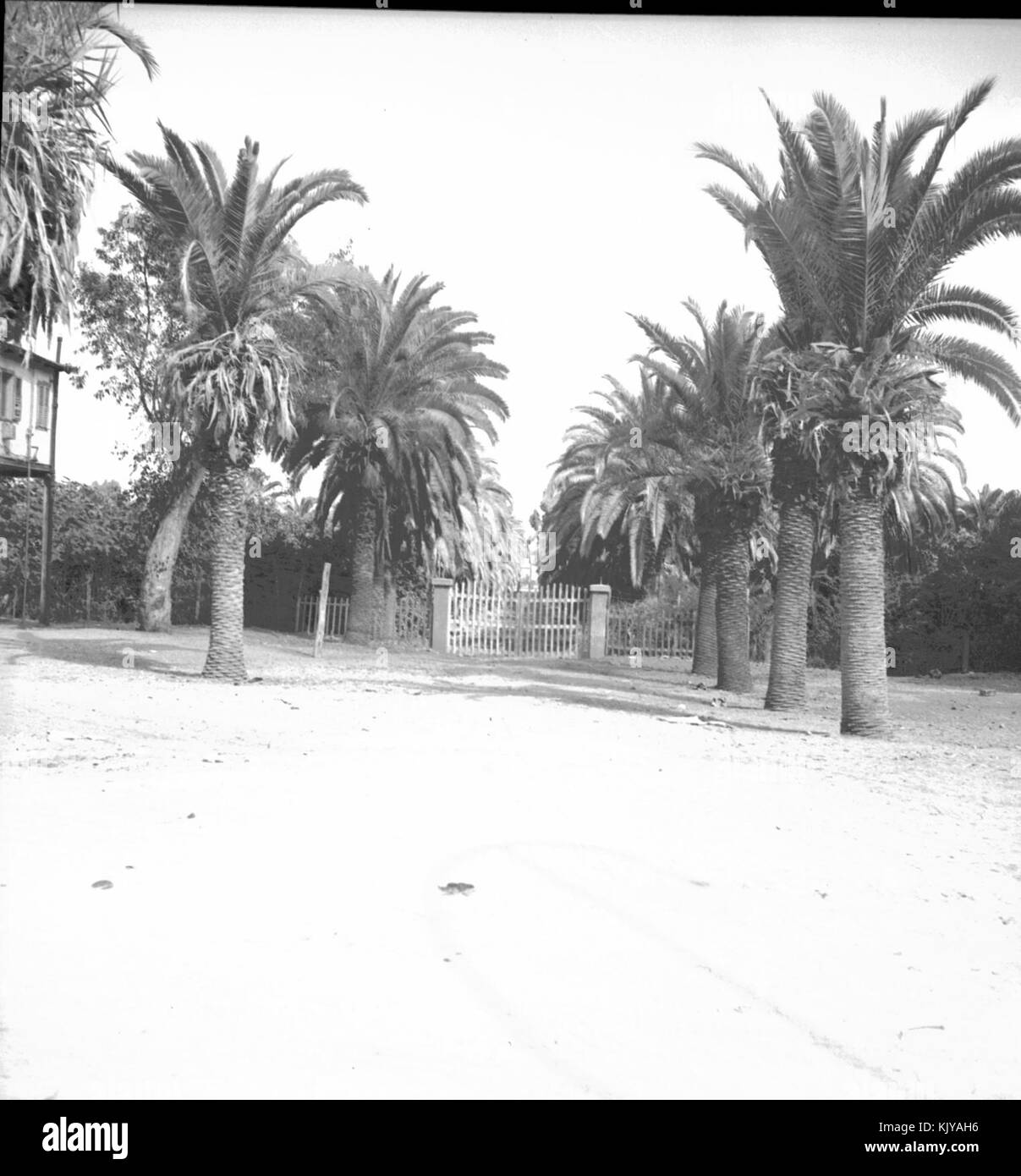 Israel occupation Black and White Stock Photos & Images - Alamy