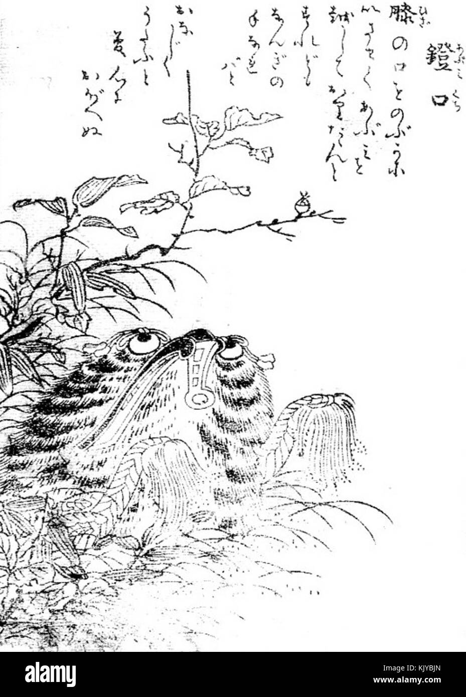 Guchi hi-res stock photography and images - Alamy