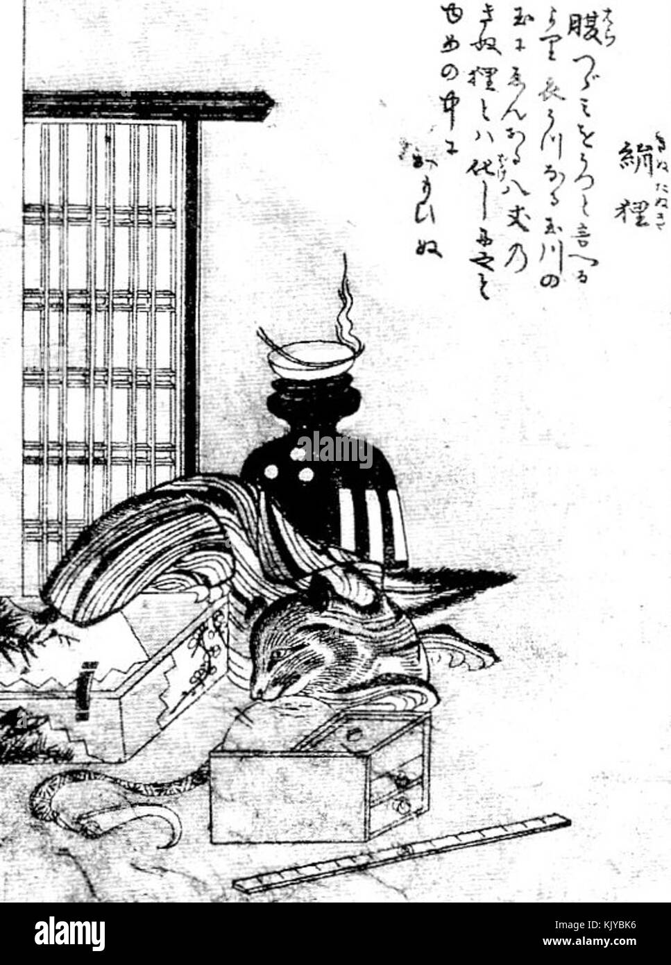 Tanuki illustration hi-res stock photography and images - Alamy