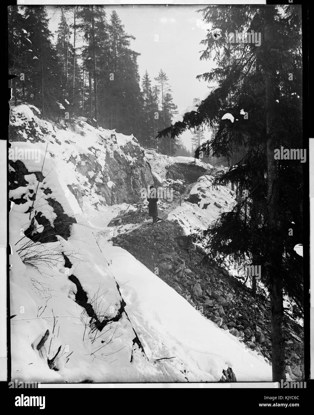 This image shows a forest path in Norway, possibly a route used for a ...
