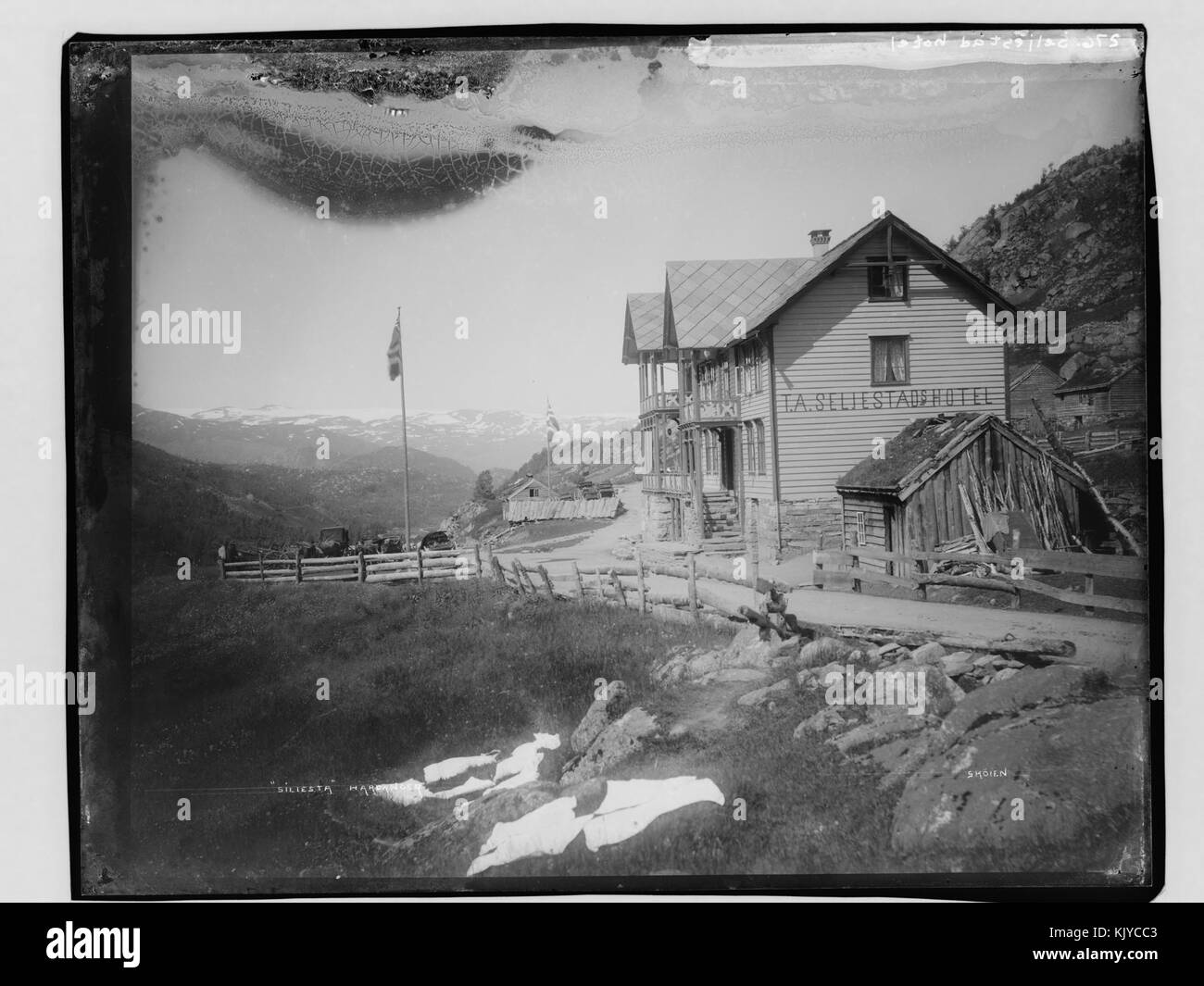 Siljesta Hardanger NB MS G4 0063 Stock Photo - Alamy