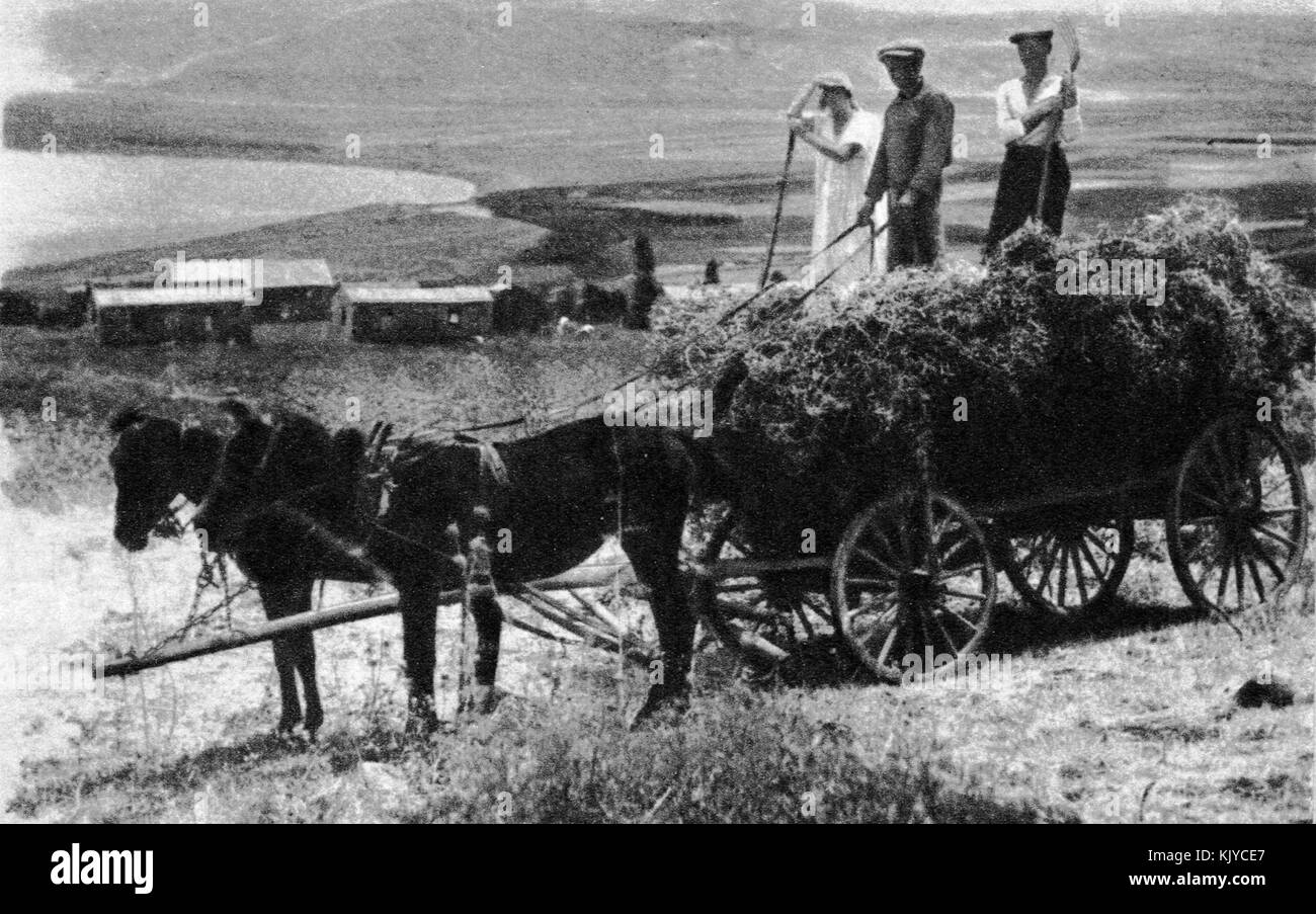 The kinneret Black and White Stock Photos & Images - Alamy