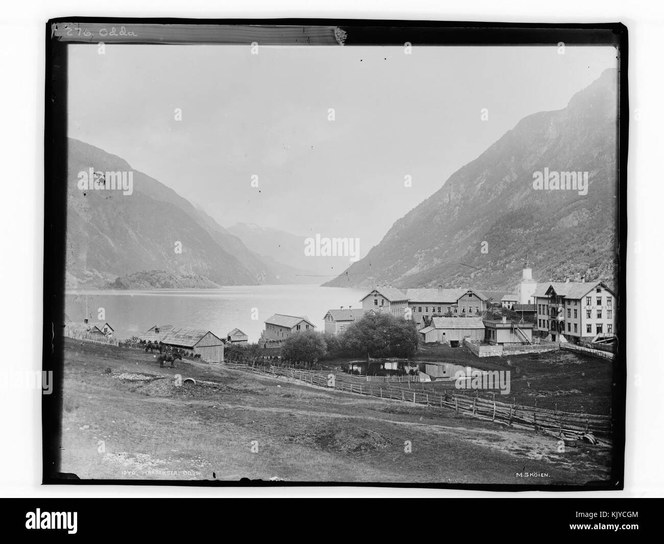 Hardanger. Odde NB MS G4 0233 Stock Photo - Alamy