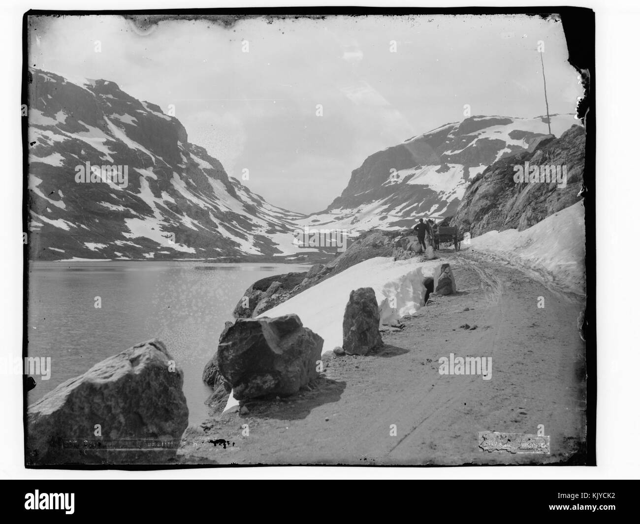 Dyrskar paa Haukelifjeld Hardanger NB MS G4 0651 Stock Photo - Alamy