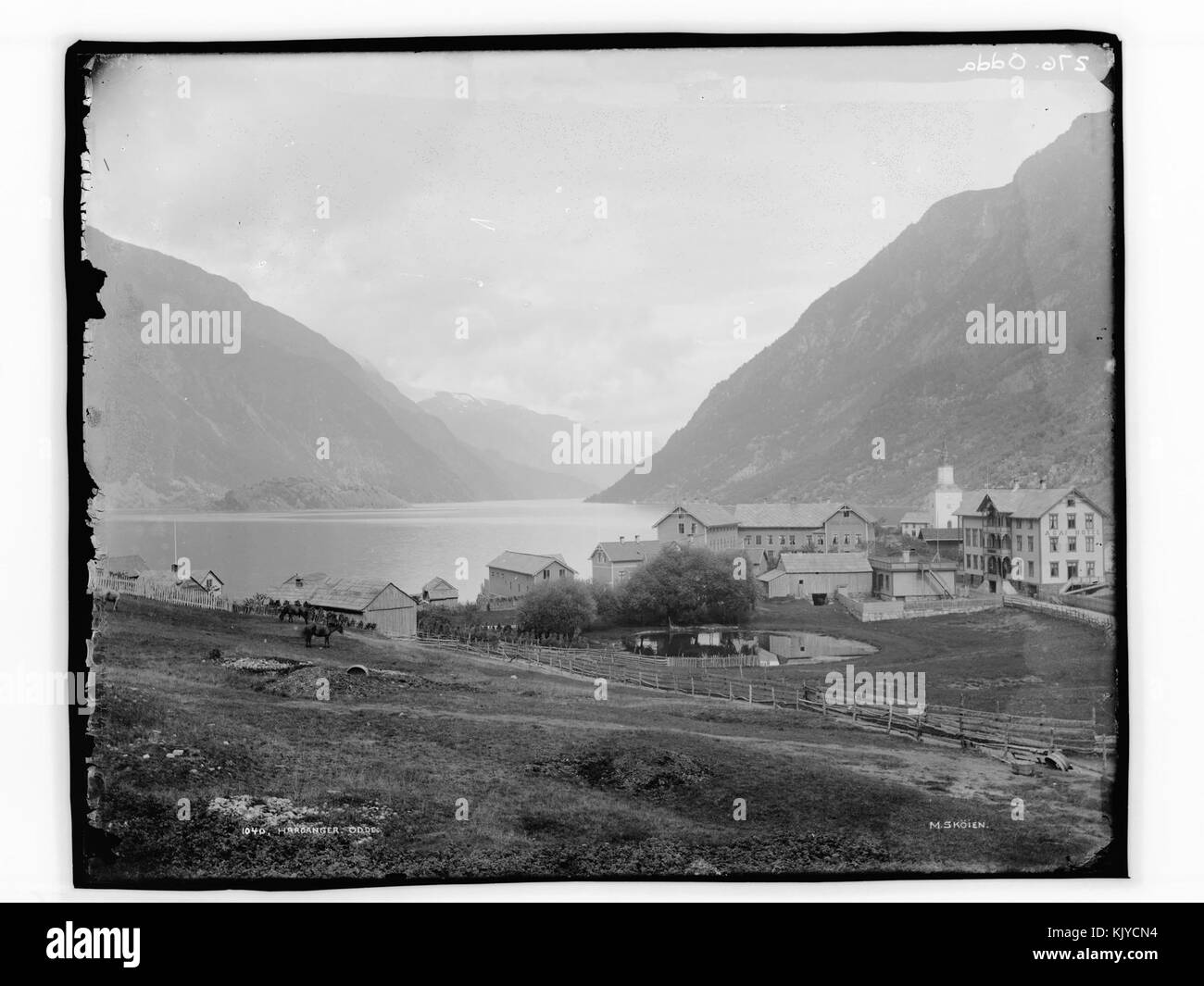 Hardanger. Odde NB MS G4 0235 Stock Photo - Alamy