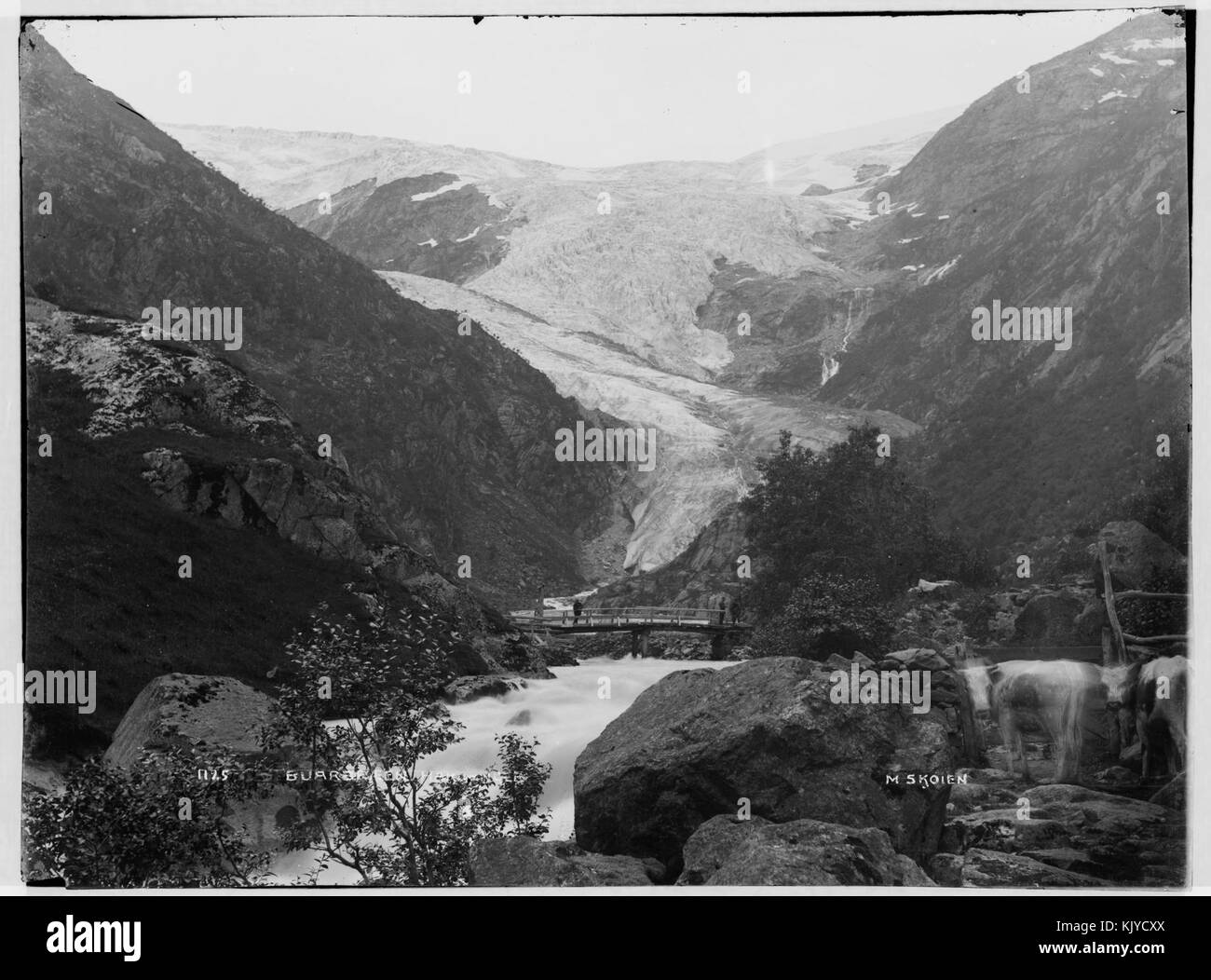 Buarbreen Hardanger NB MS G3 0038 Stock Photo - Alamy