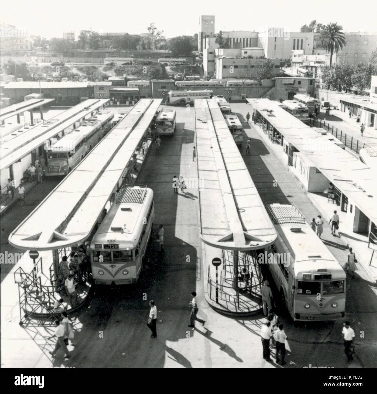 Israel 3809 Transport in Israel Stock Photo - Alamy