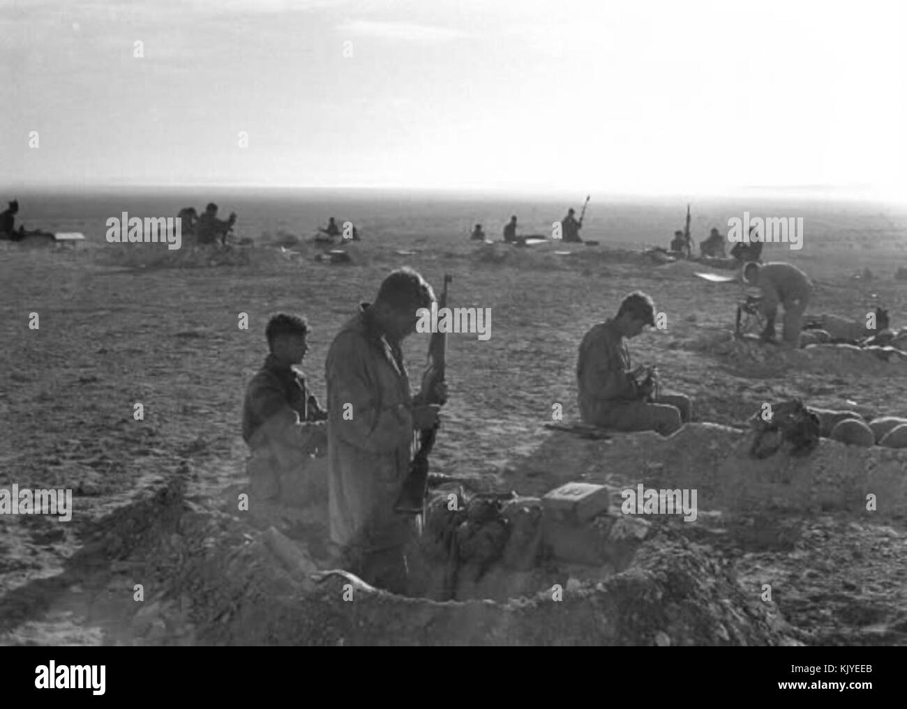 Sinai war 1956 hi-res stock photography and images - Alamy