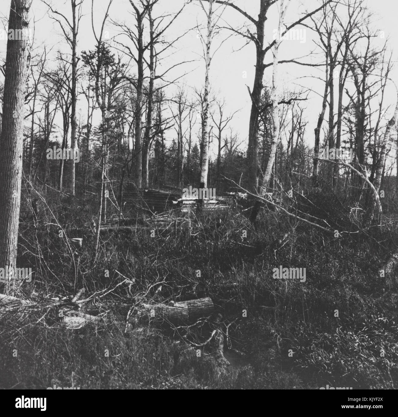 This entry appears to be an unclear or incomplete reference, likely missing further context or ...