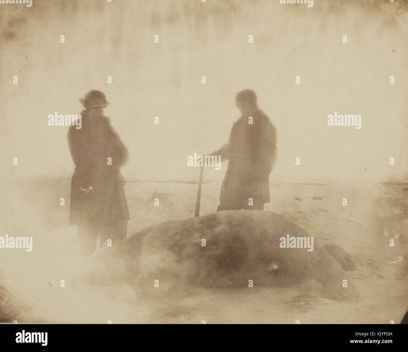 This image corresponds to a specific archival item, identified by the ...