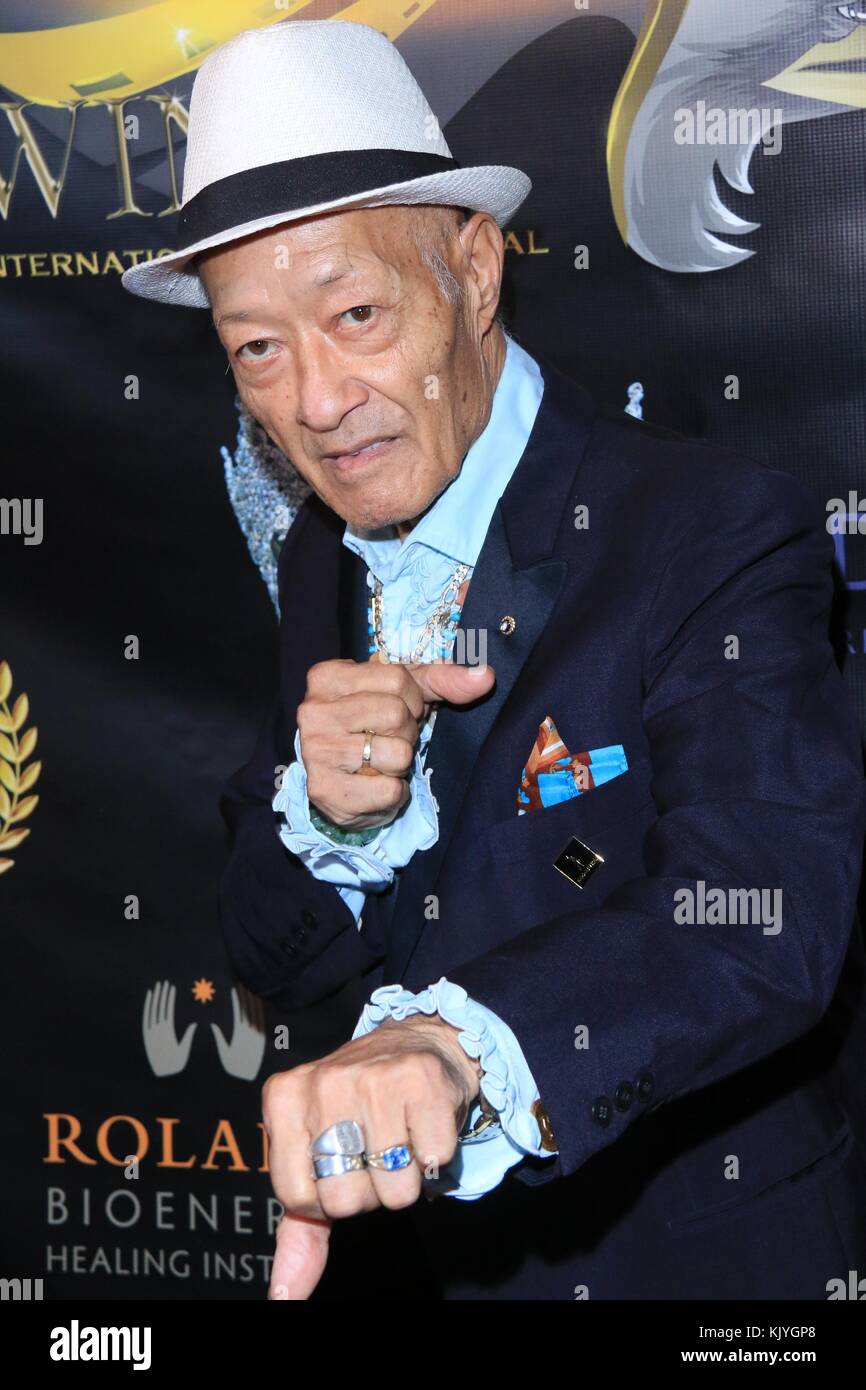WIND International Film Festival Awards Gala - Arrivals Featuring: Aki ...