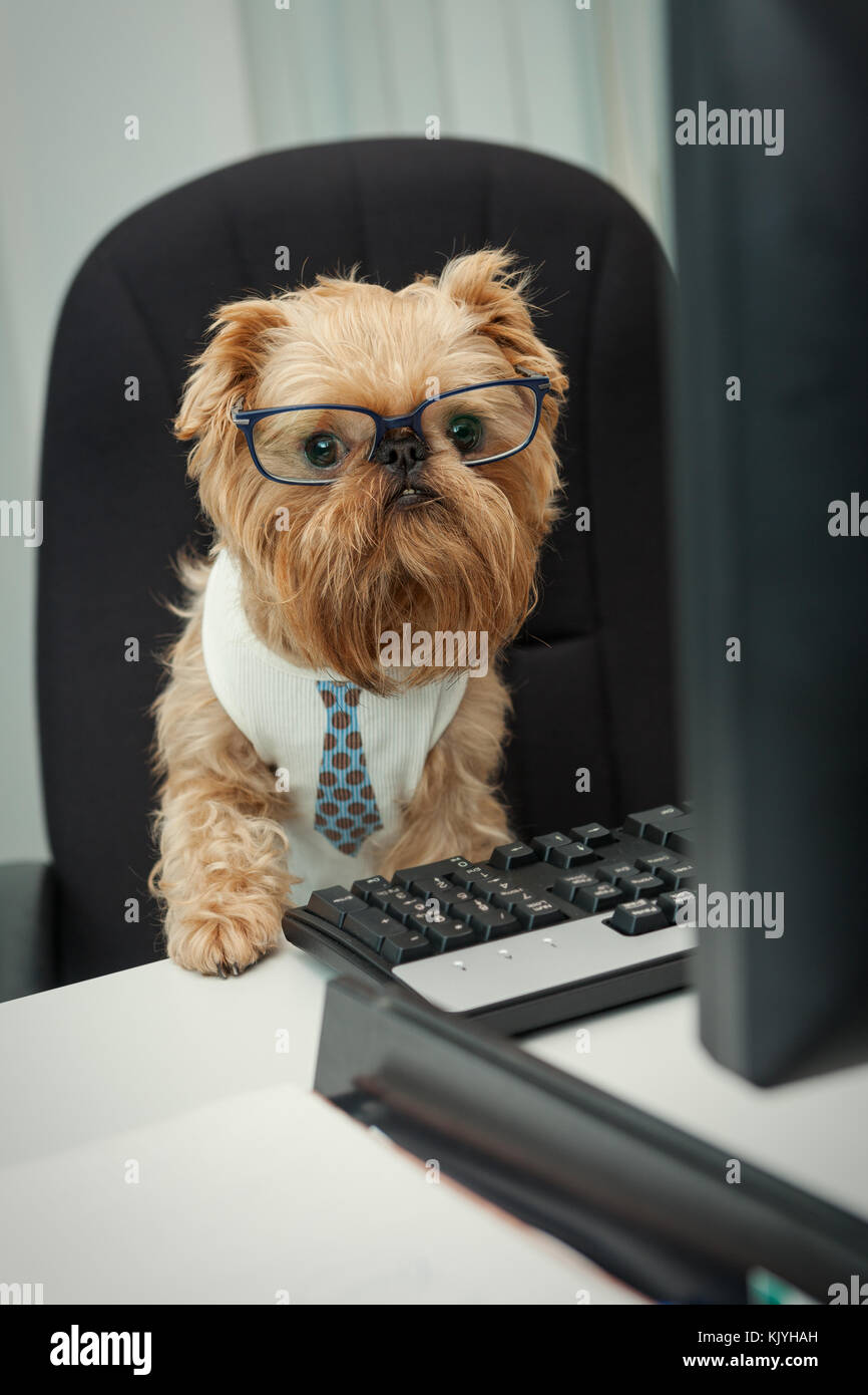 Dog Computer Glasses