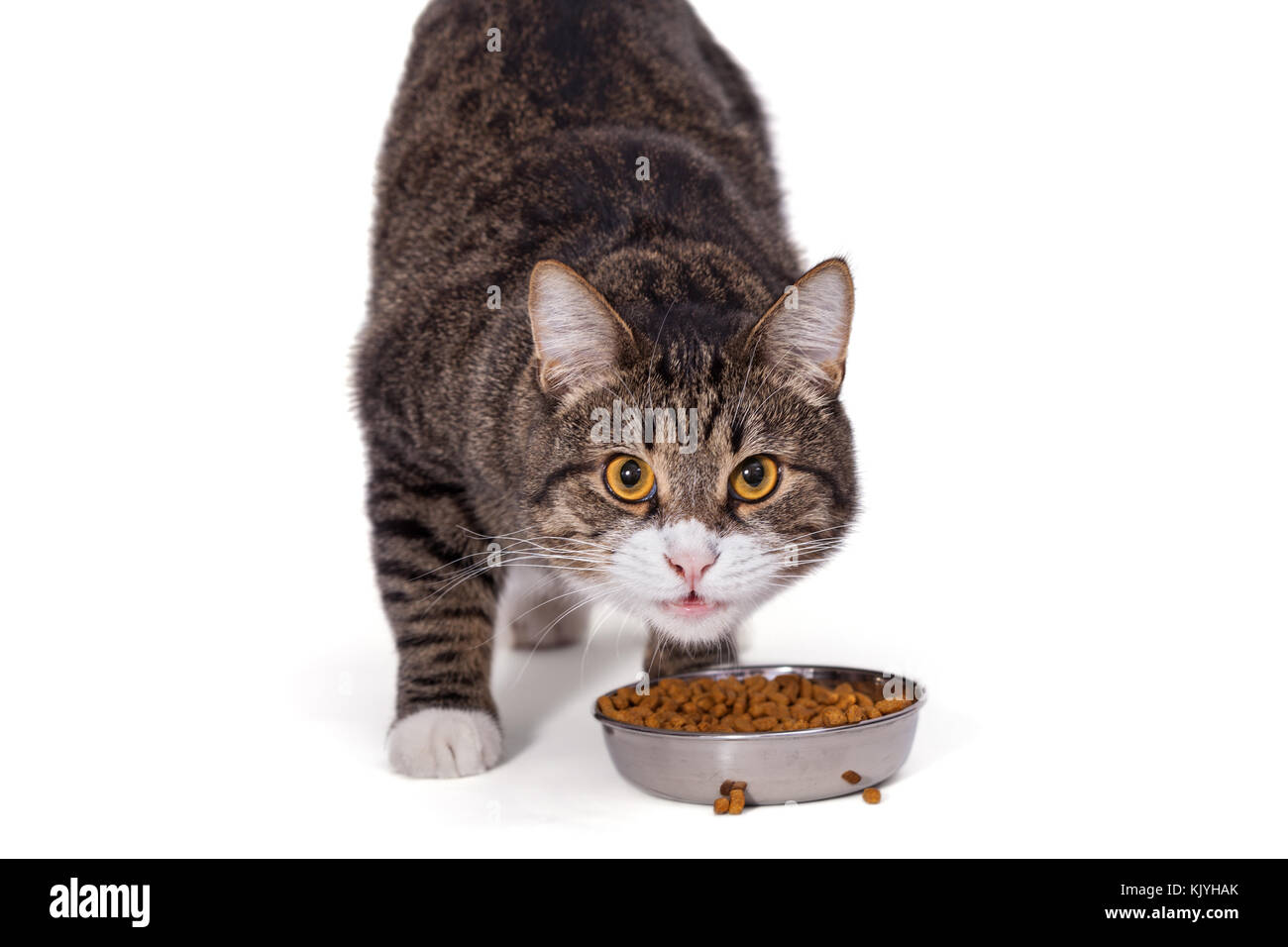 Angry food hi-res stock photography and images - Alamy