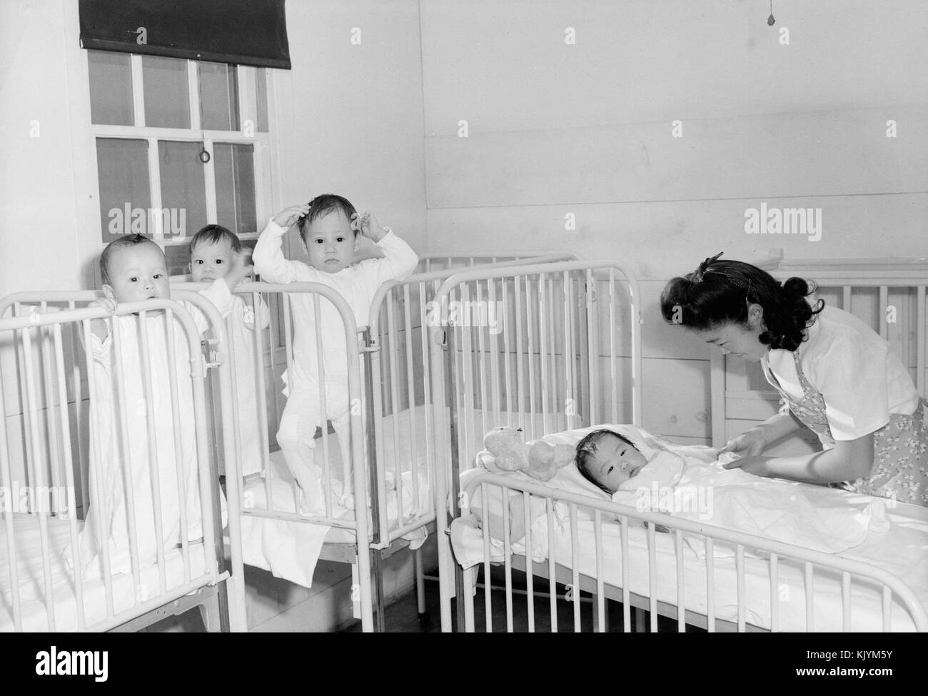 This photograph by Ansel Adams depicts the Manzanar Nursery, where ...