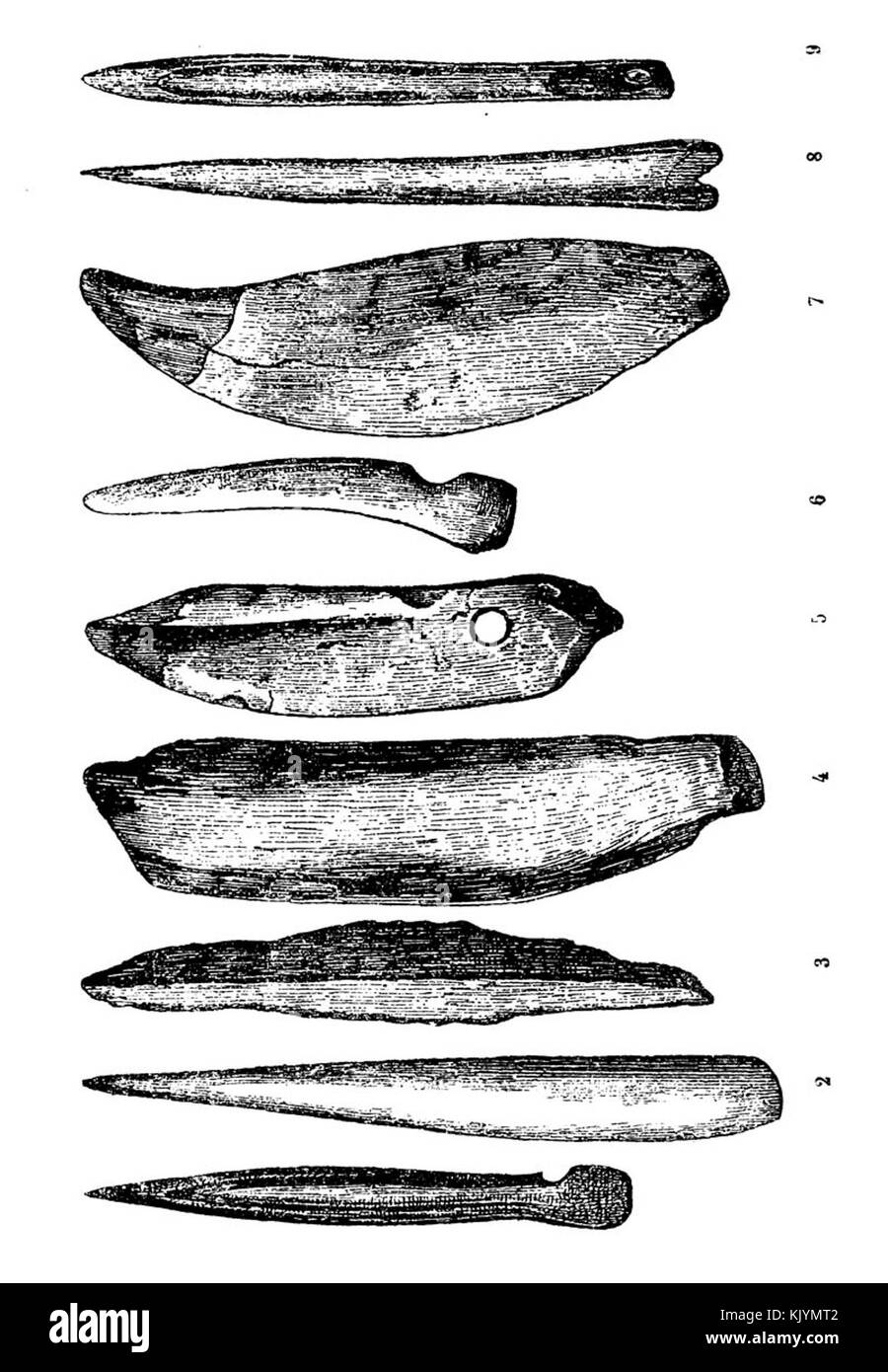 Bone age Cut Out Stock Images & Pictures - Alamy