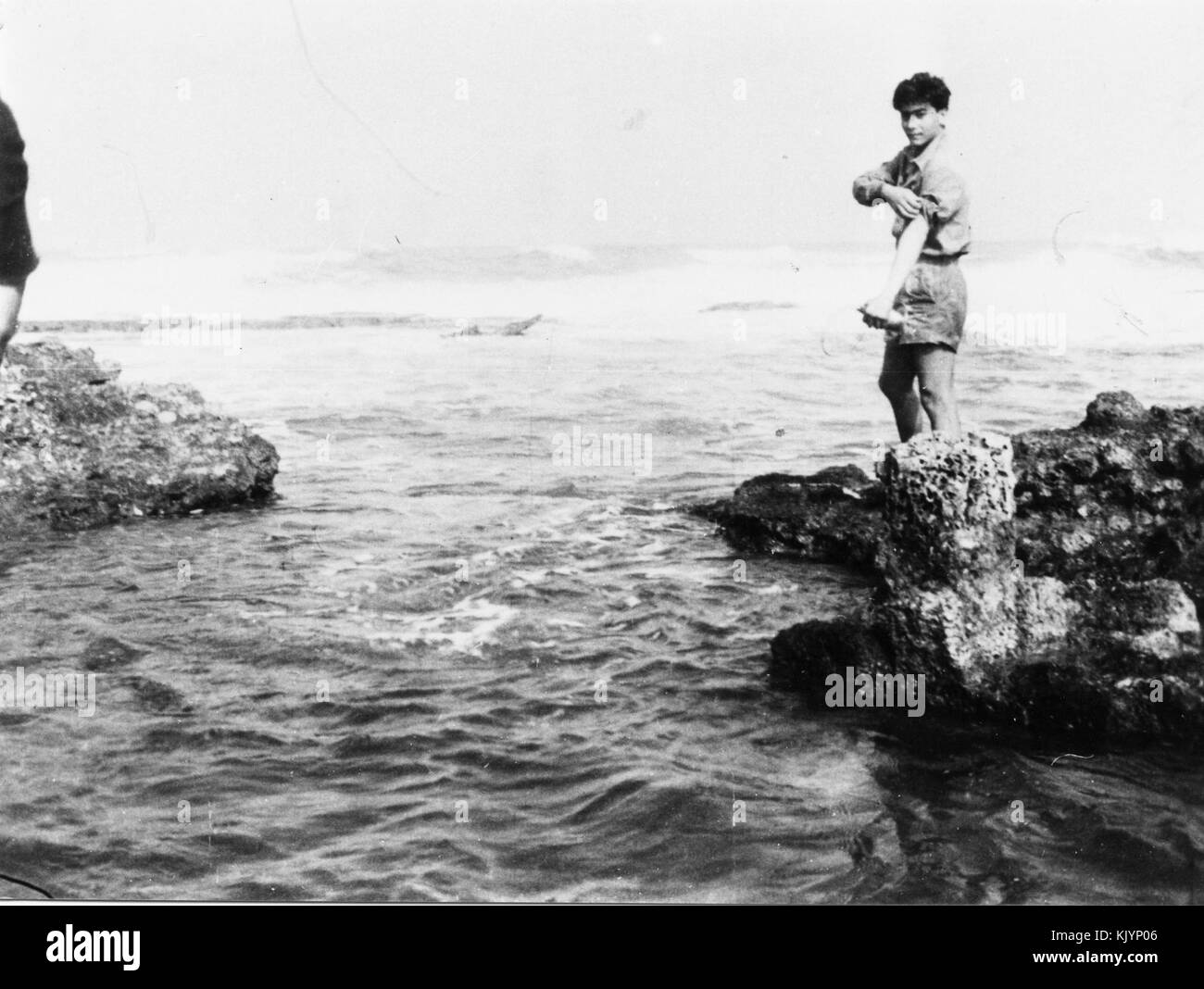 Palmach unit hi-res stock photography and images - Alamy