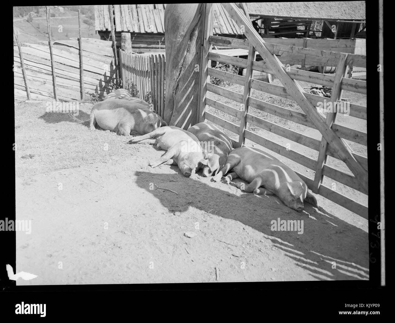 Griser hi-res stock photography and images - Alamy