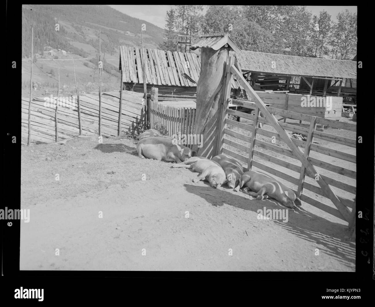 Griser hi-res stock photography and images - Alamy