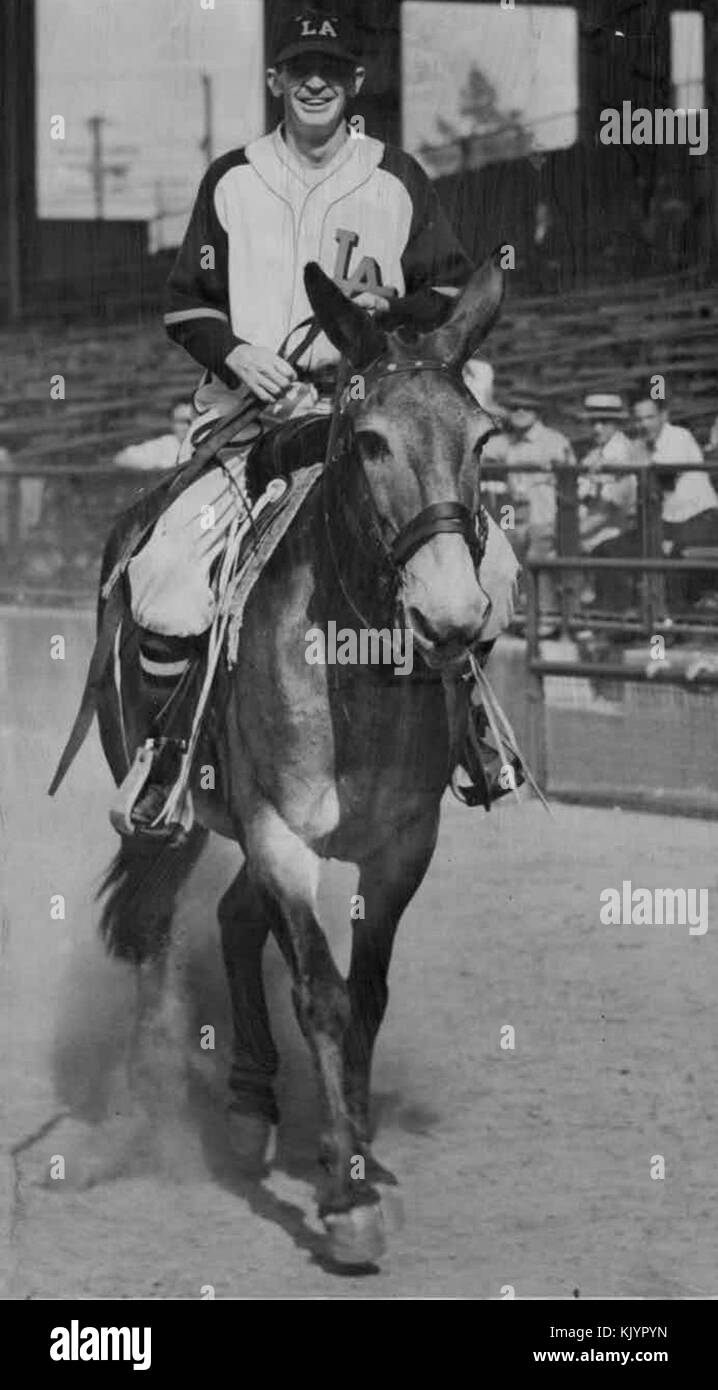 Joe berry hi-res stock photography and images - Alamy