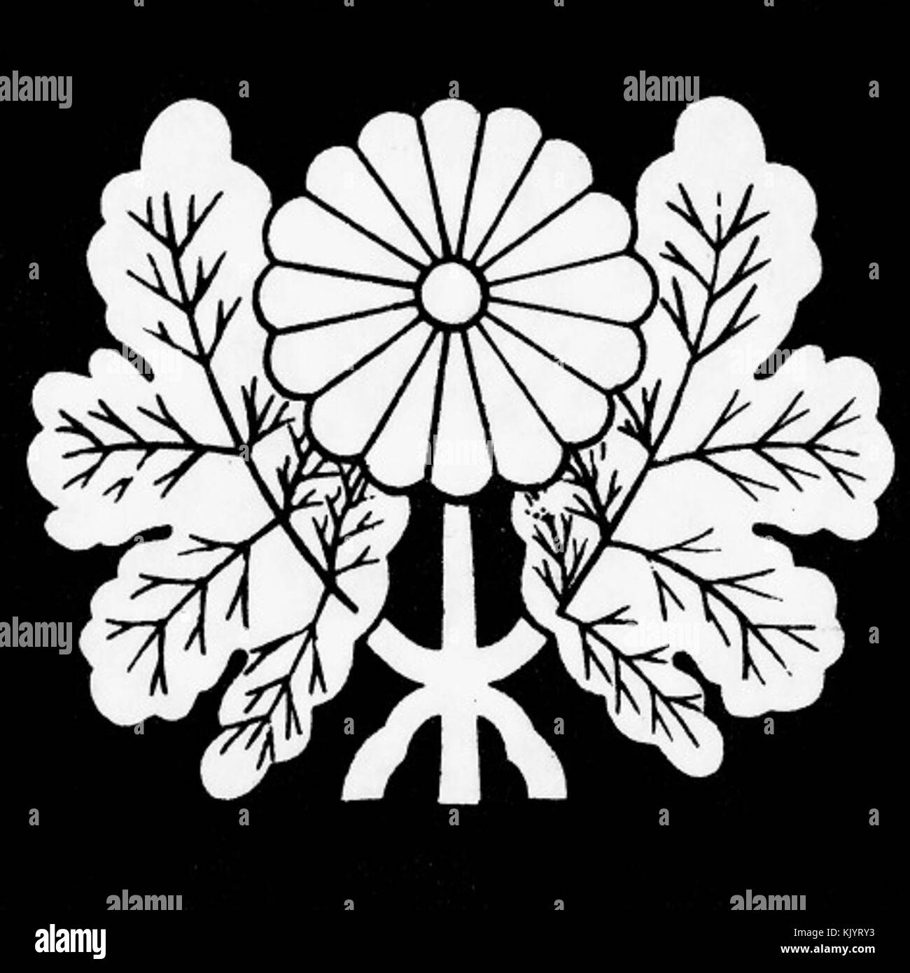 Kiku hi-res stock photography and images - Alamy