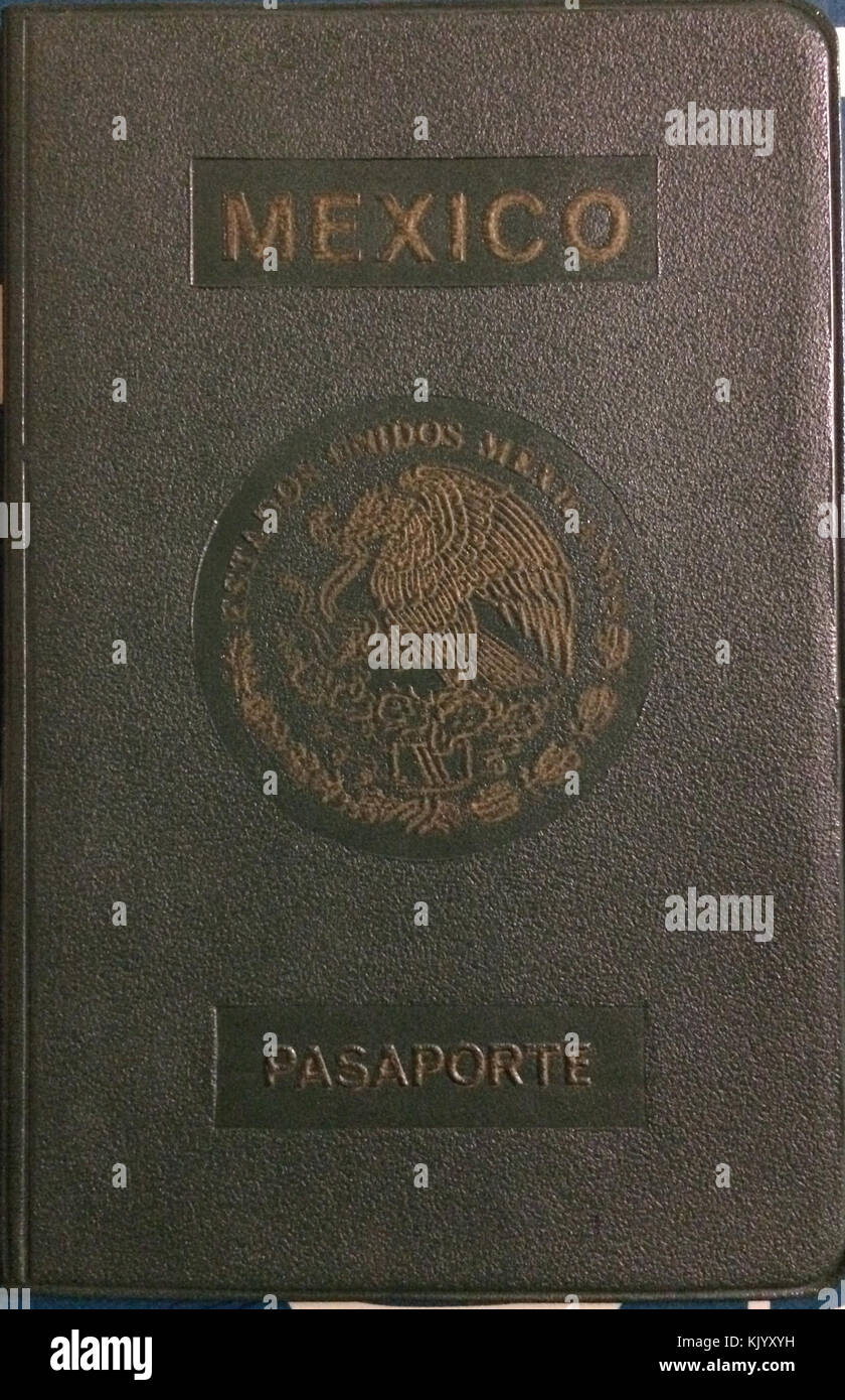 Mexican Passport Photo Specifications