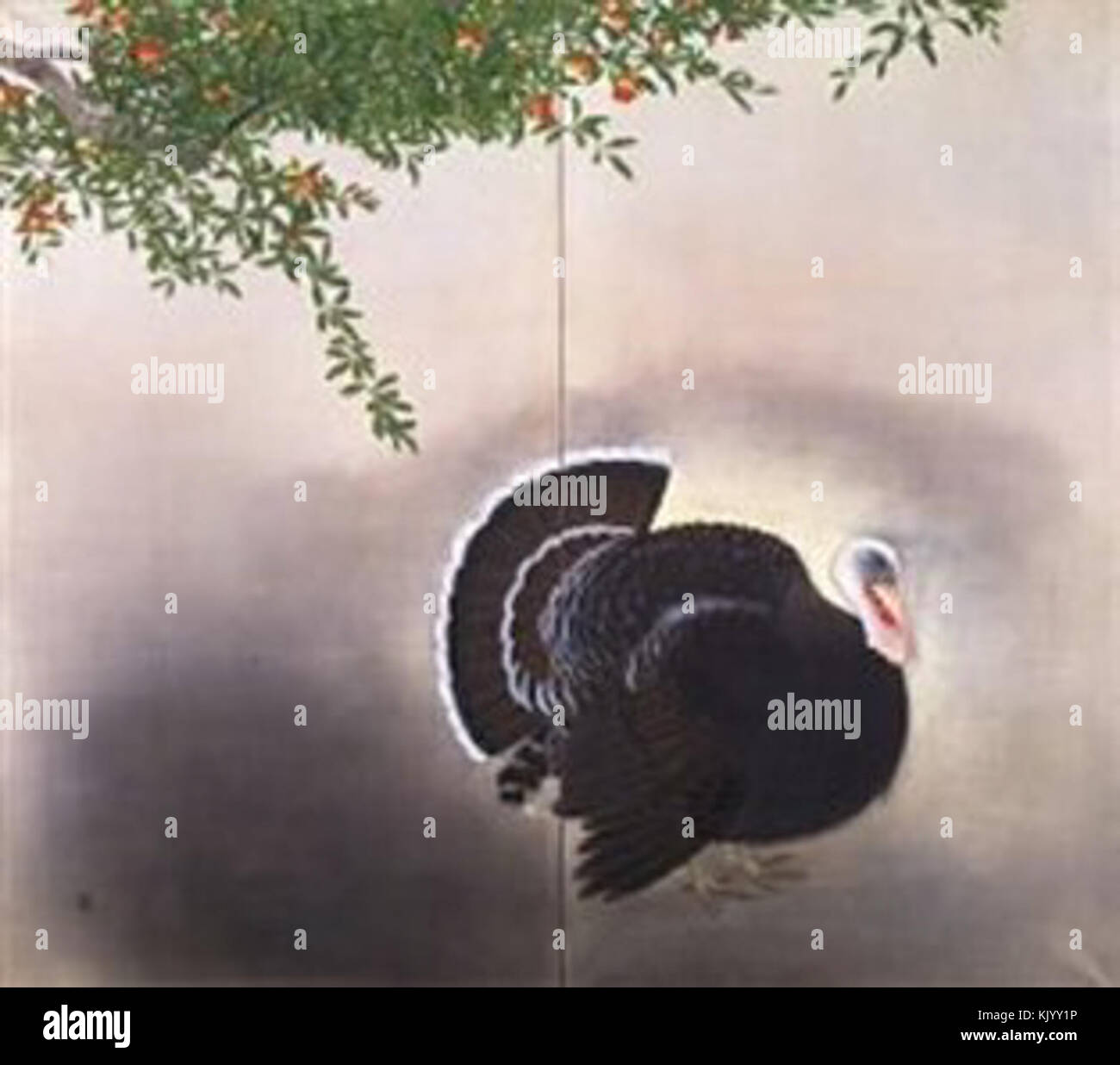 Truthahn hi-res stock photography and images - Alamy