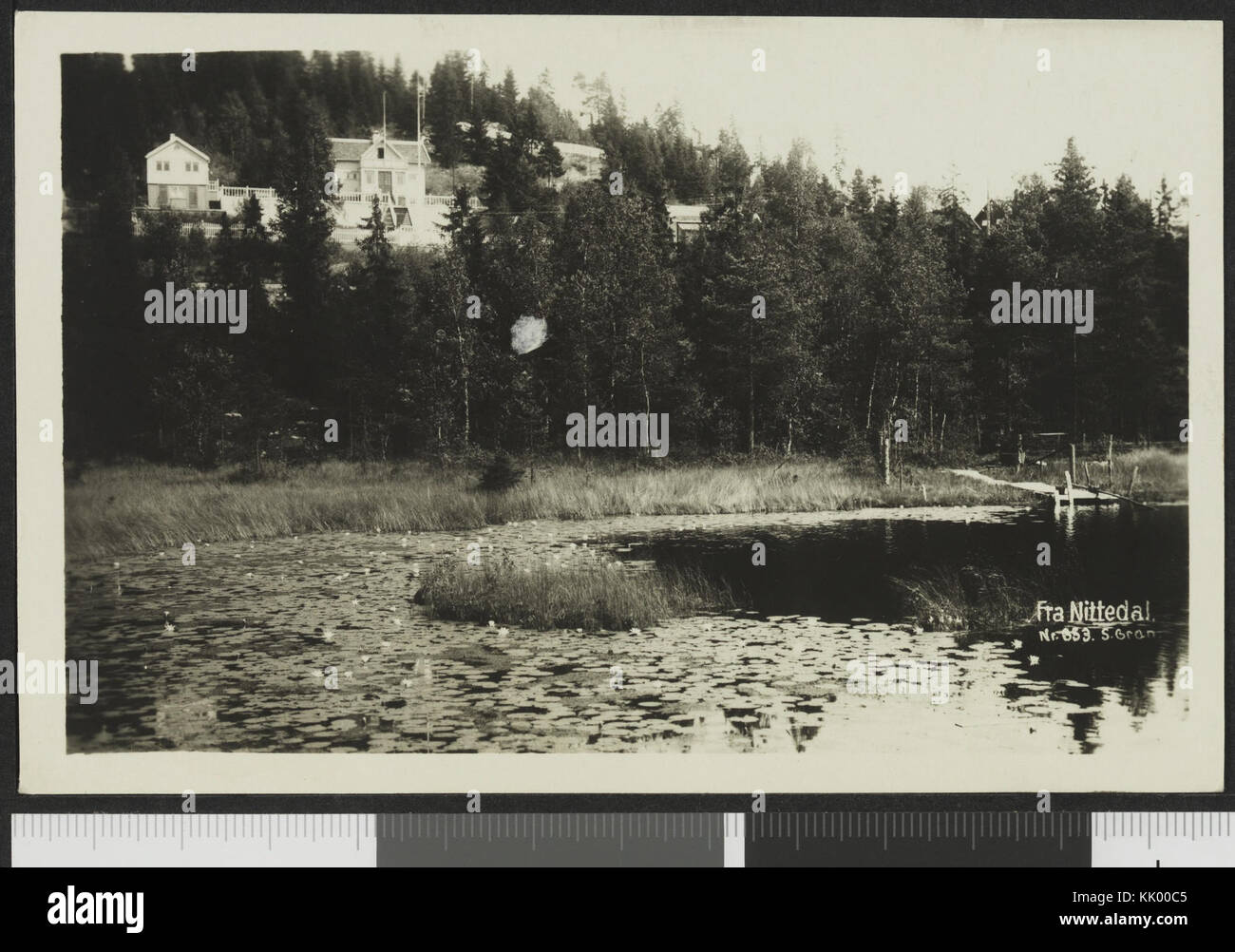 653 Fra Nittedal no nb digifoto 20150821 00280 bldsa PK23764 Stock ...