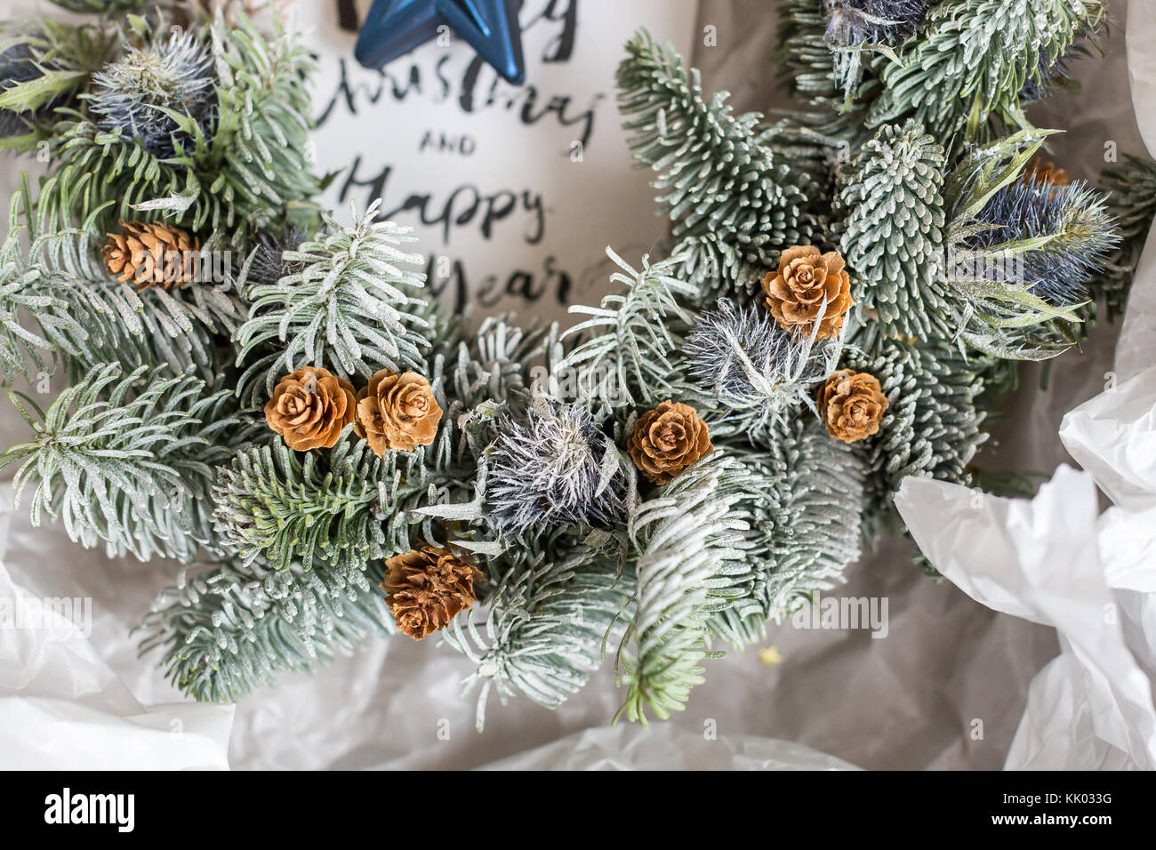 creating, planting, floral design concept. close up of conifer branches ...