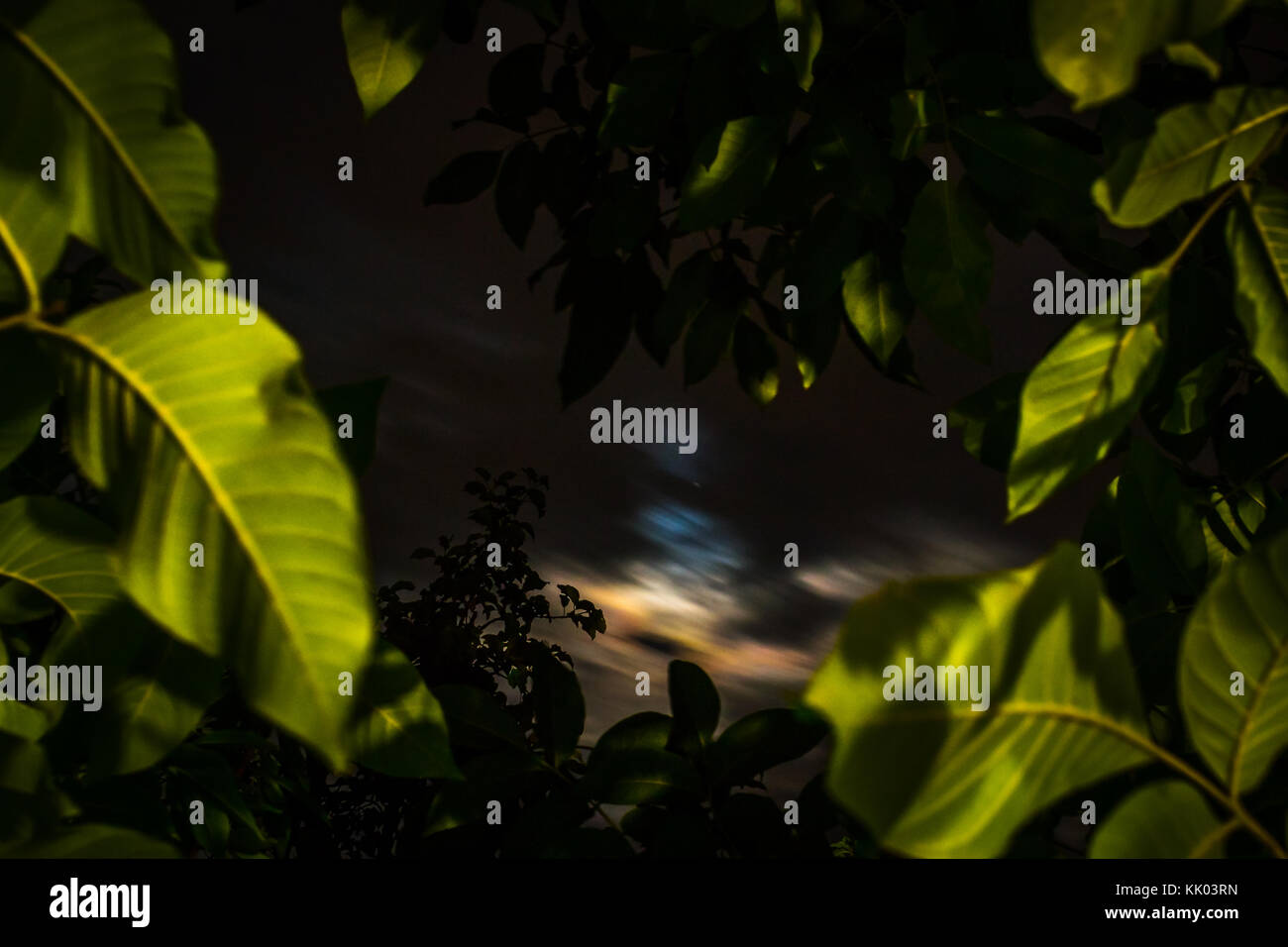 the night sky floating clouds a photo with the exposure of the ...