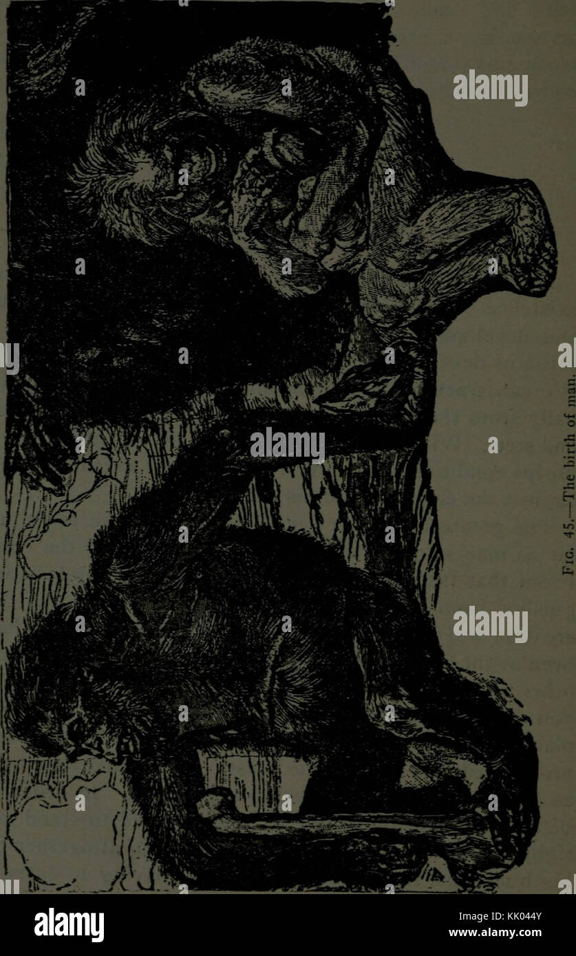 Cell intelligence; the cause of growth, heredity and instinctive ...