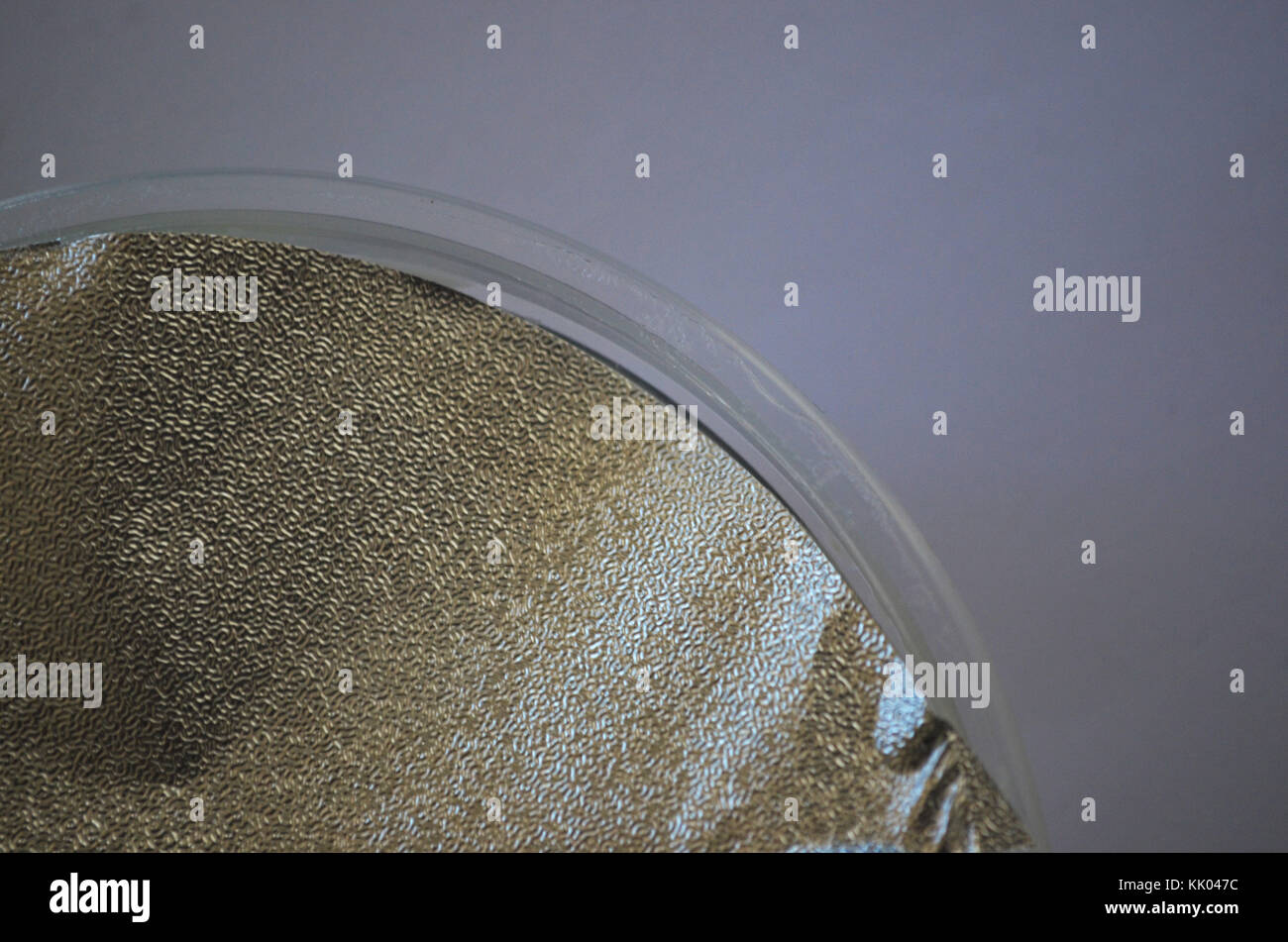 Clear container with lid hi-res stock photography and images - Alamy