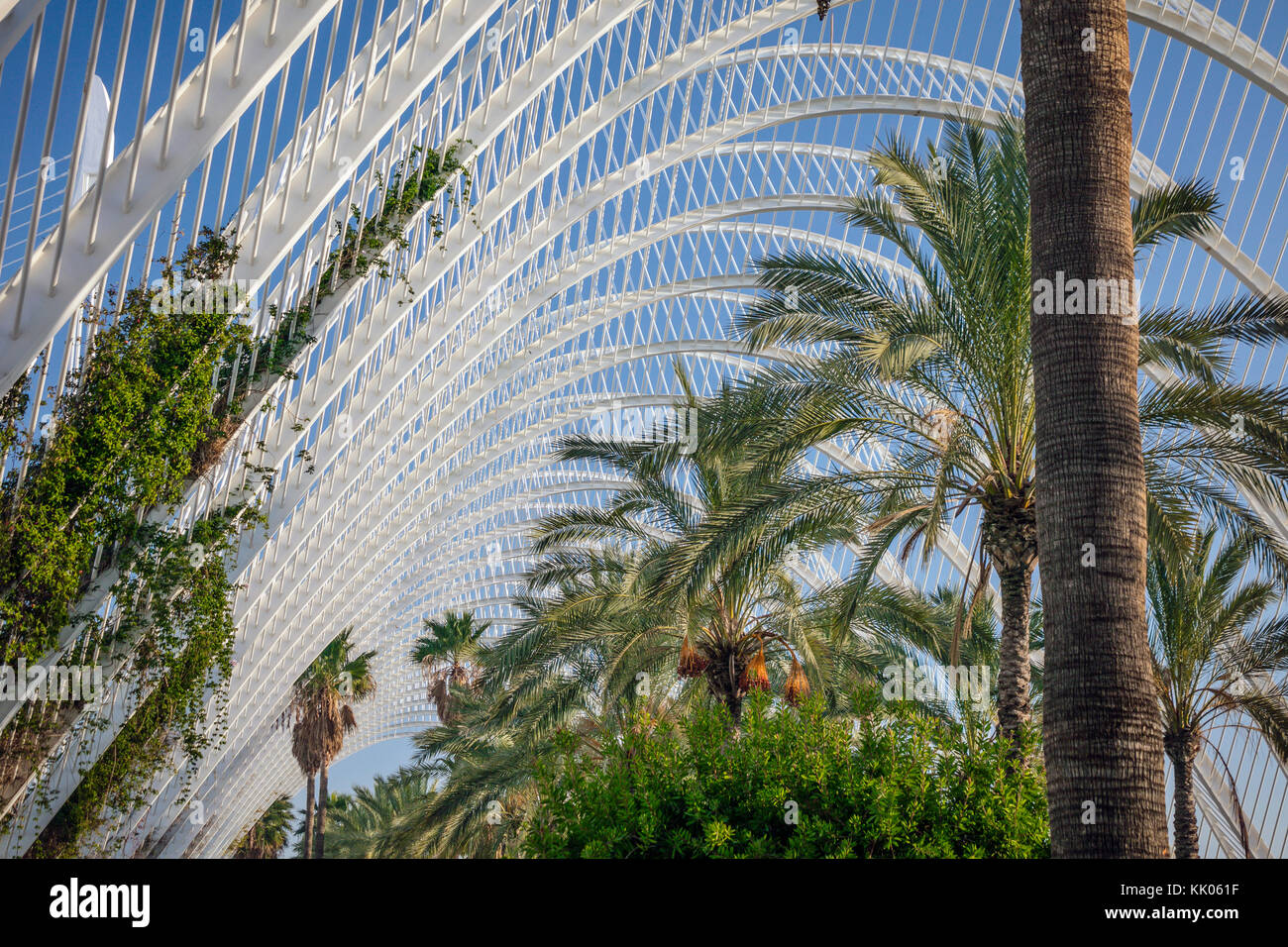 Lumbracle terrace hi-res stock photography and images - Alamy