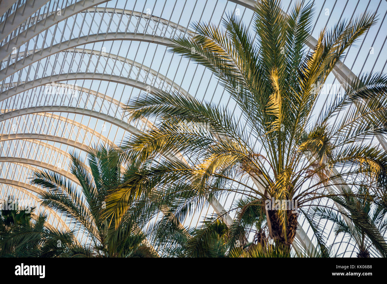 L’umbracle terrace valencia hi-res stock photography and images - Alamy