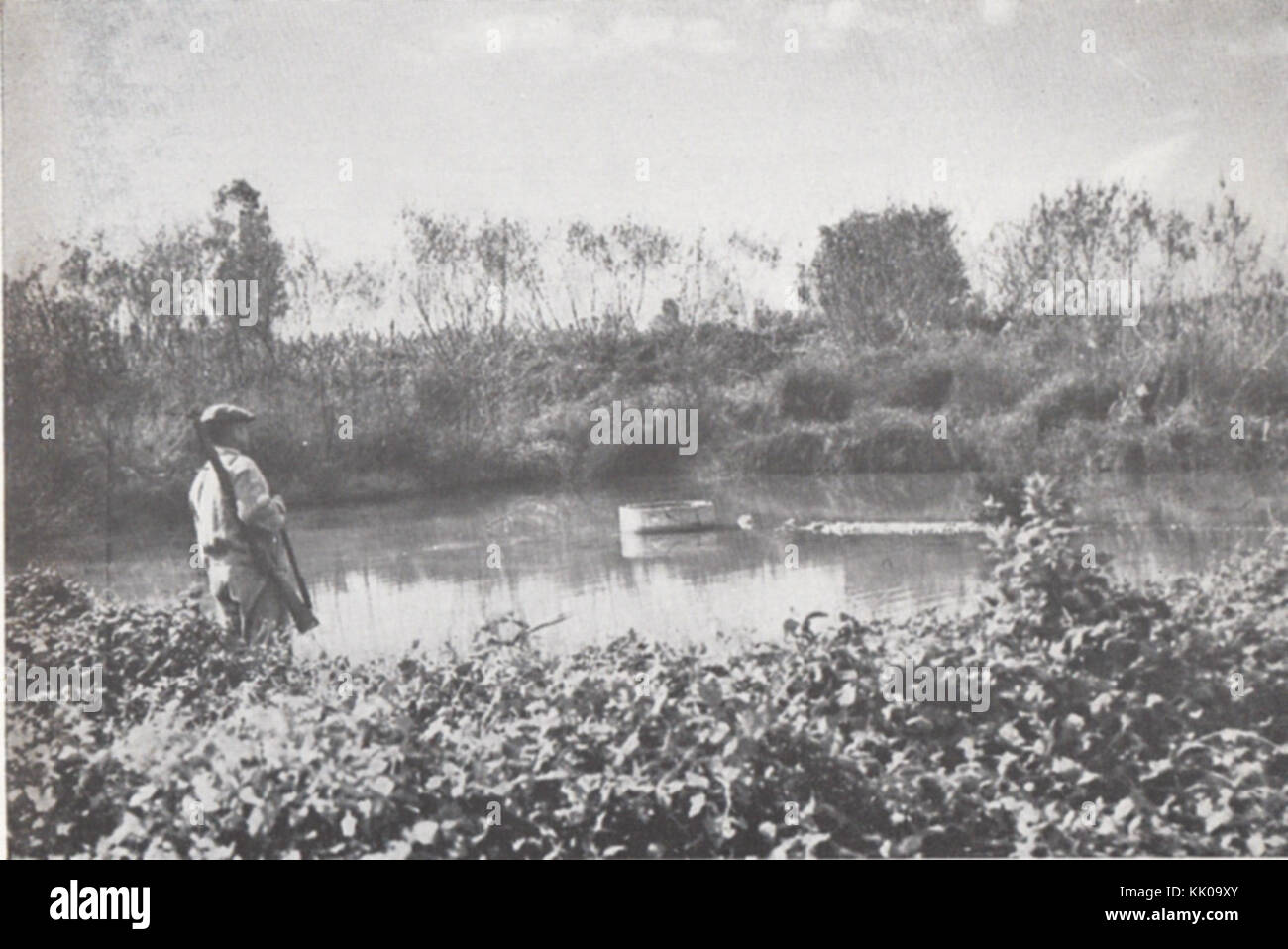 Israel 47068 Yarkon Springs Stock Photo - Alamy