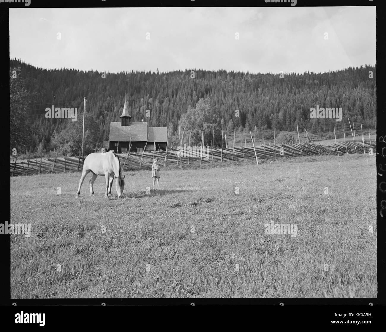 Lomen hi-res stock photography and images - Alamy