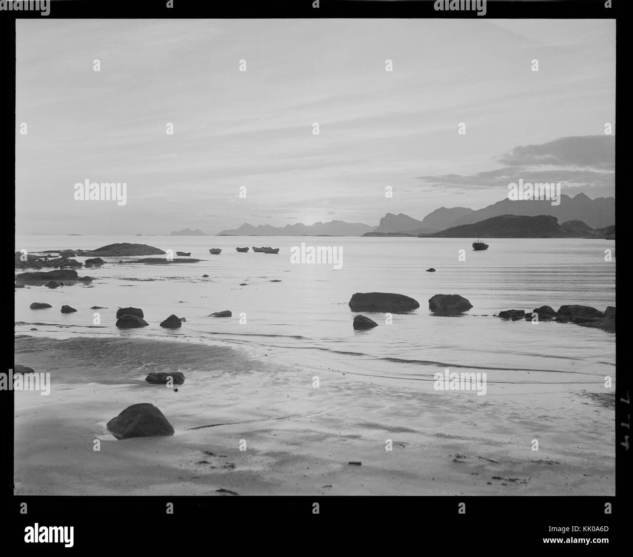 November sun Black and White Stock Photos & Images - Alamy