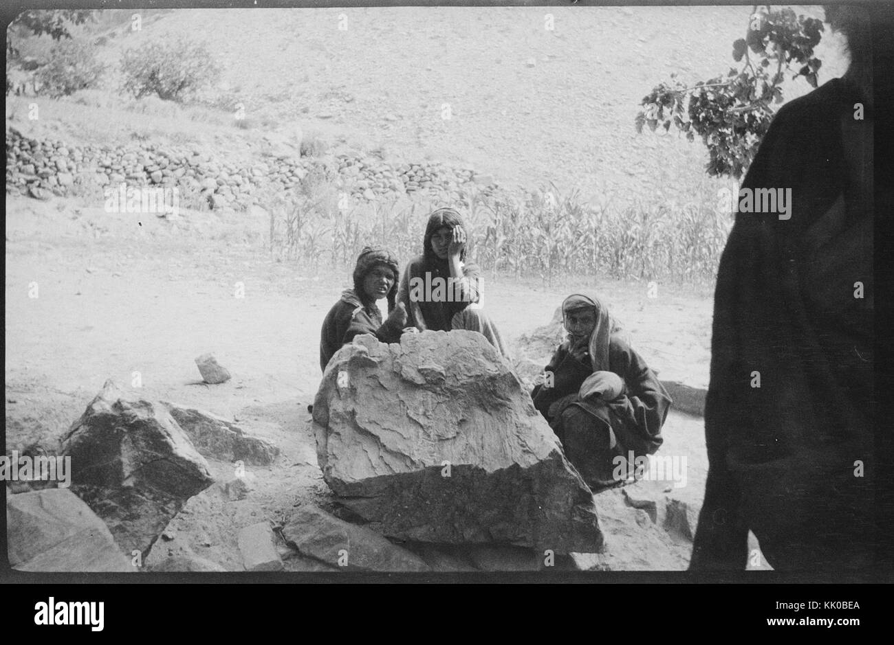 This image is part of the British Library's archival collection ...