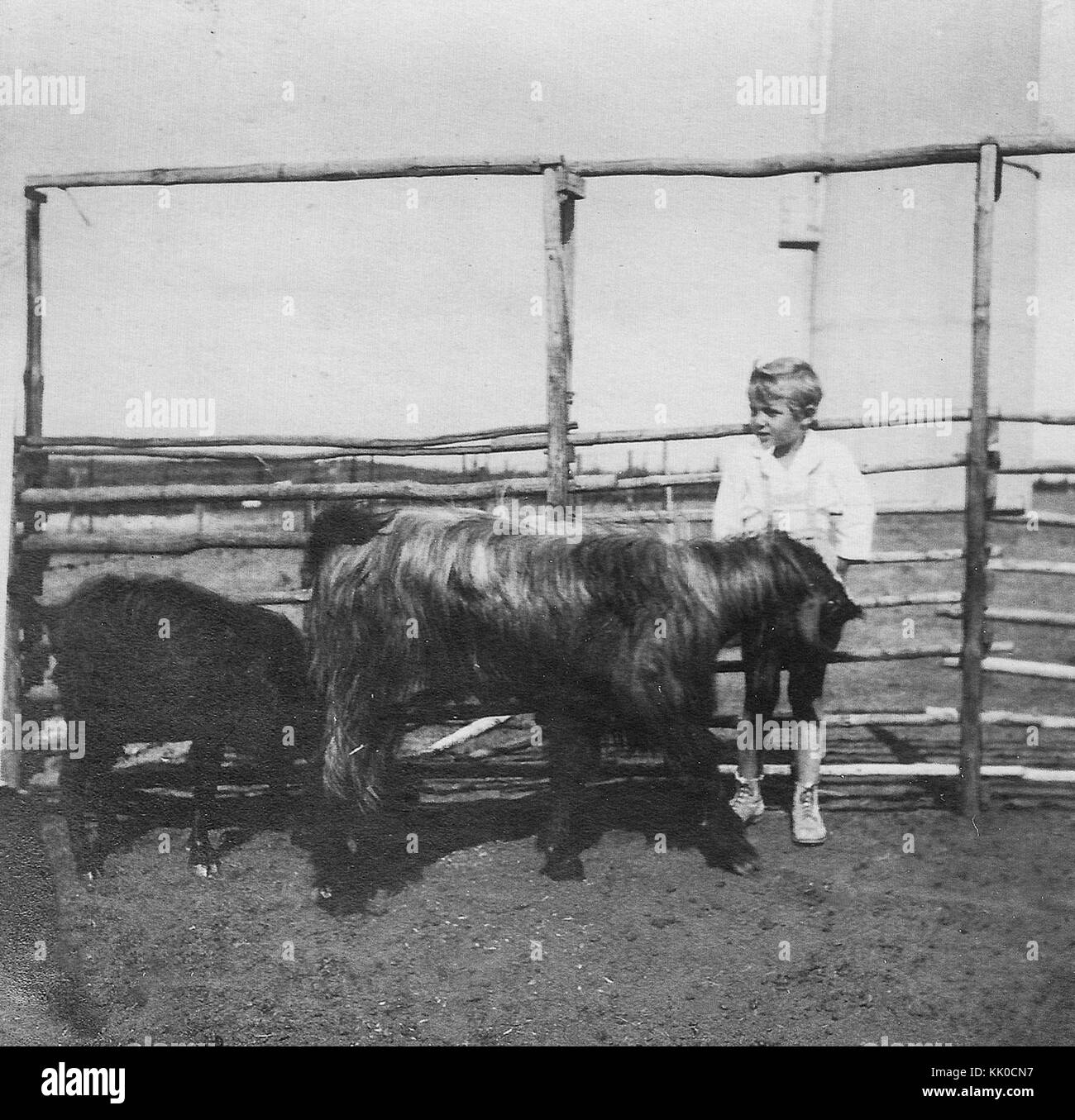 Goat management Black and White Stock Photos & Images - Alamy