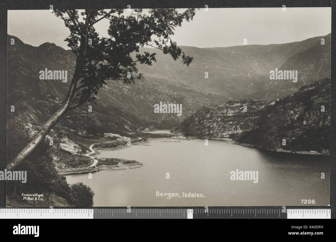 Isdalen valley hi-res stock photography and images - Alamy