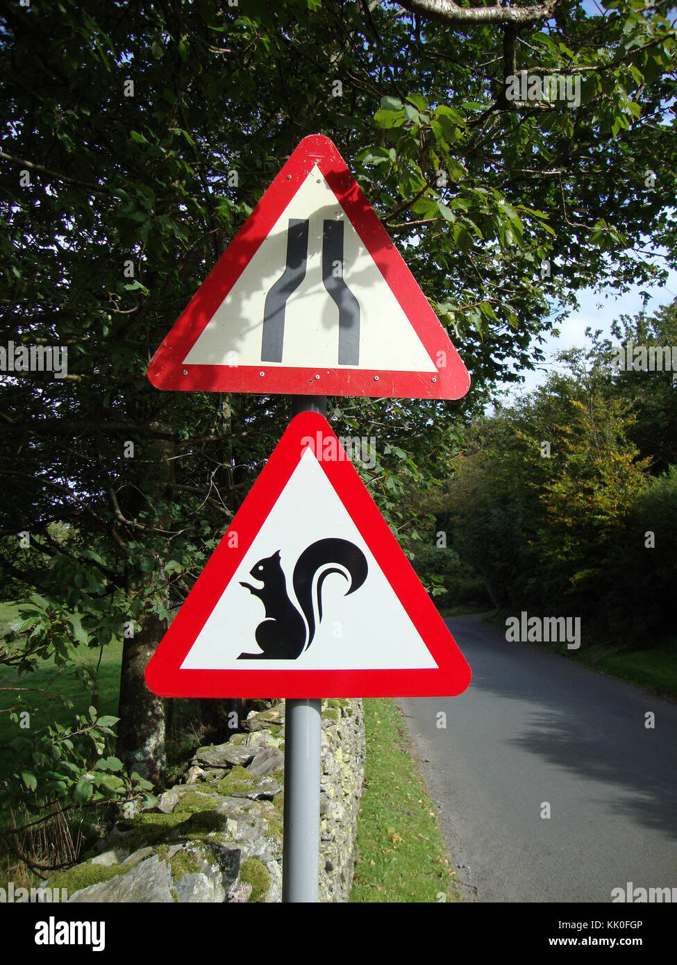 Slow red squirrels sign hi-res stock photography and images - Alamy