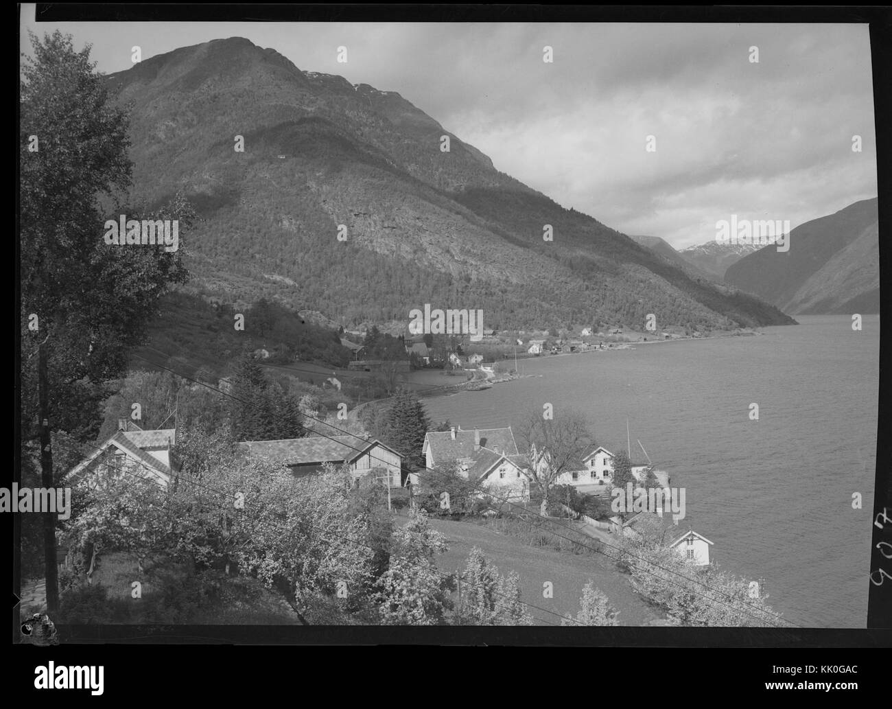 Lyster hi-res stock photography and images - Alamy