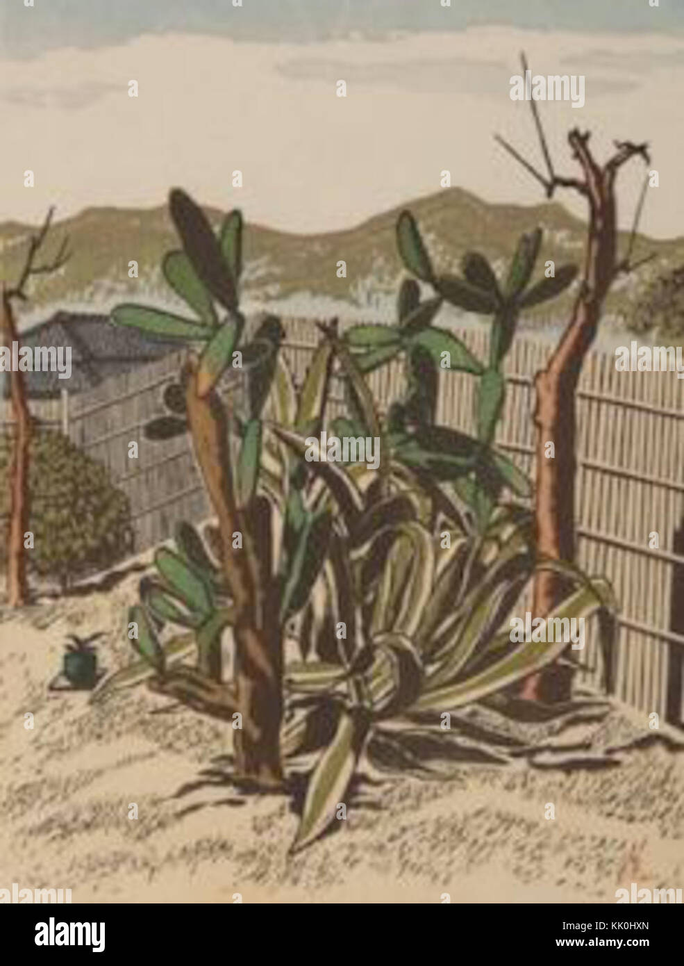 Hemmi hi-res stock photography and images - Alamy