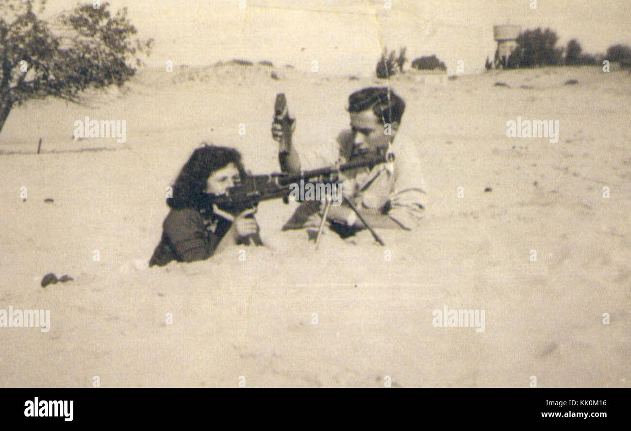 Hish hi-res stock photography and images - Alamy