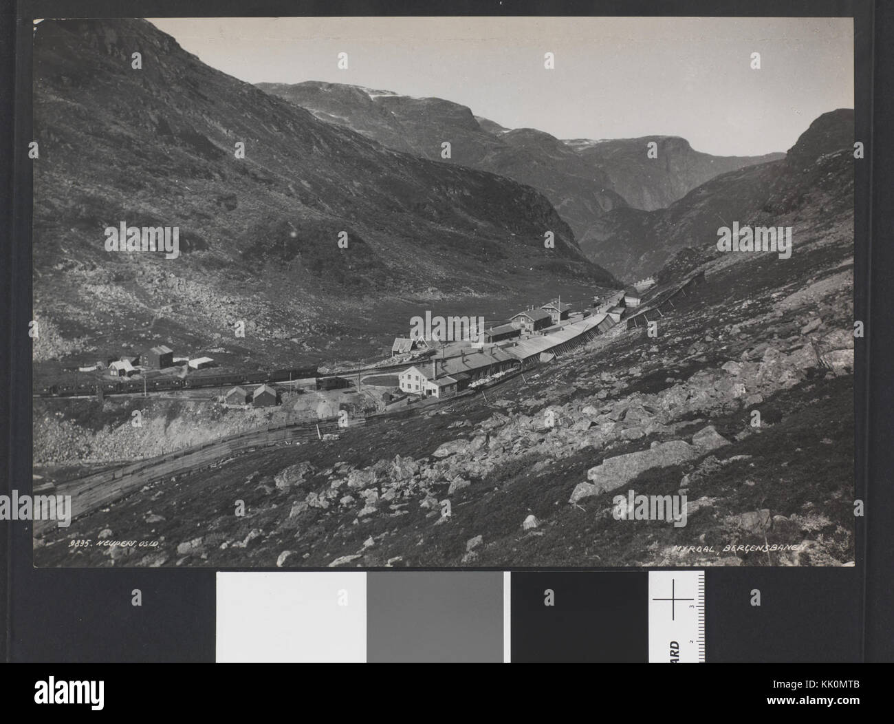 A photograph of Myrdal station on the Bergensbanen railway, showcasing ...